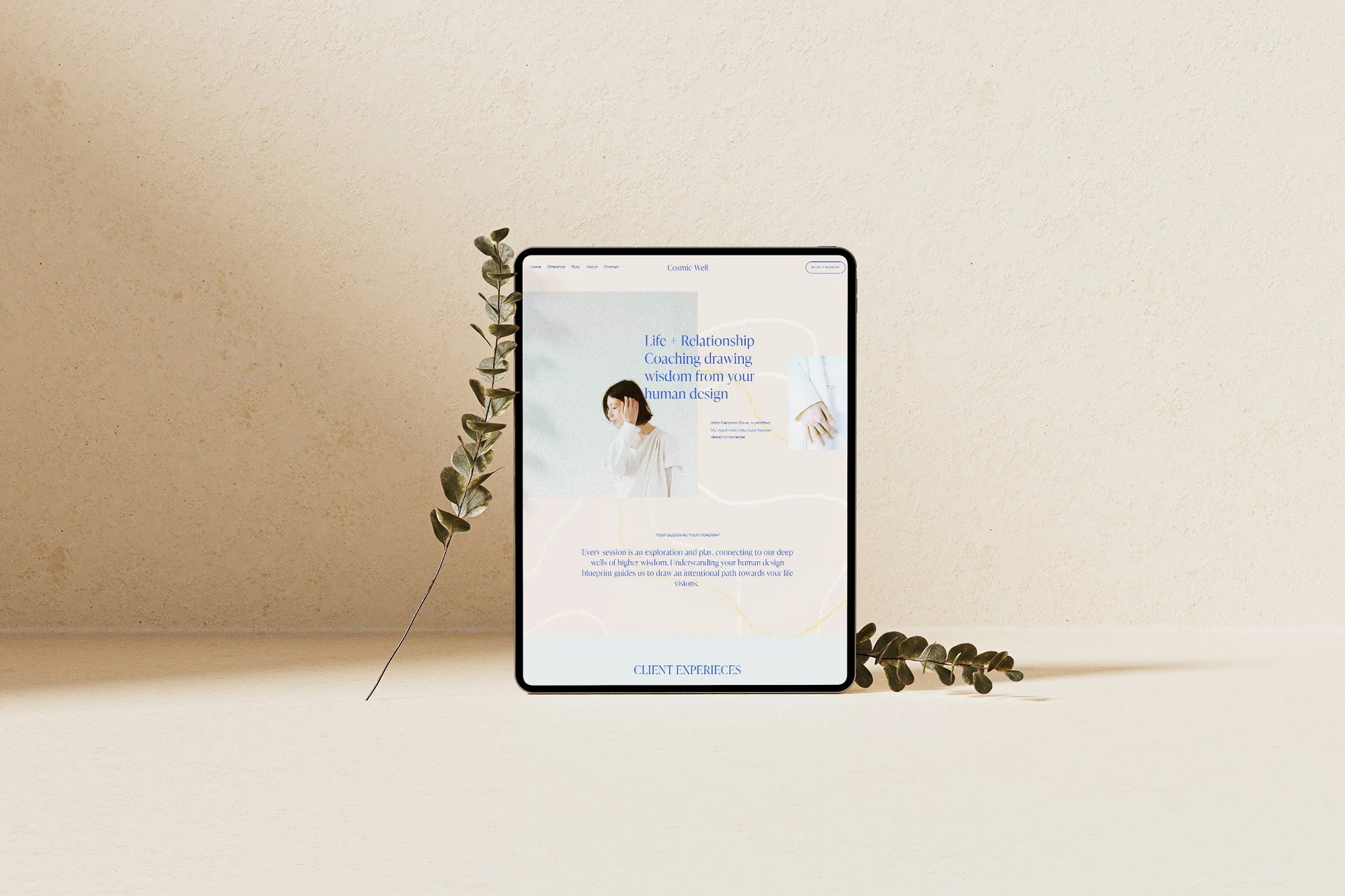 Bright Matters Studio | Squarespace Websites and Templates