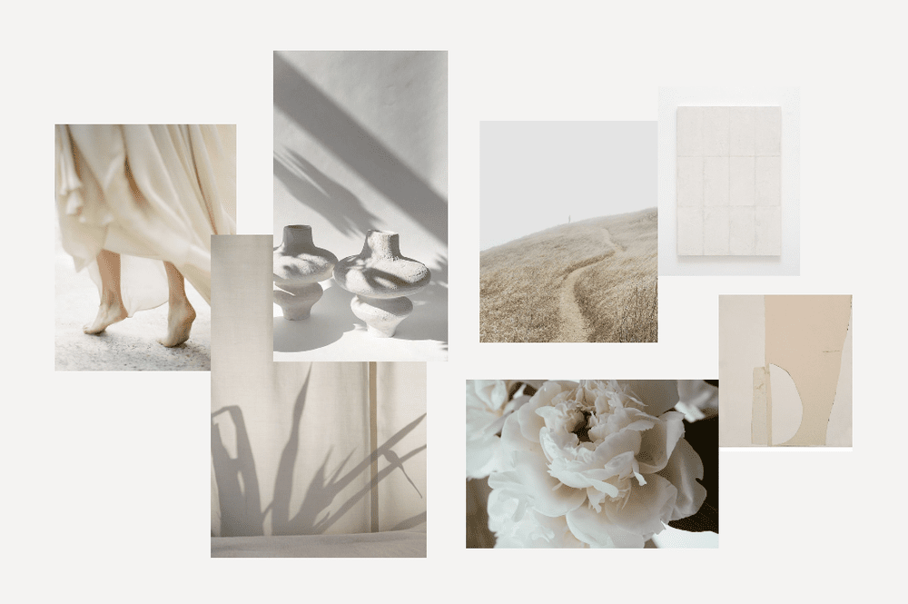 Using color psychology for branding | Branding and Website Design for ...