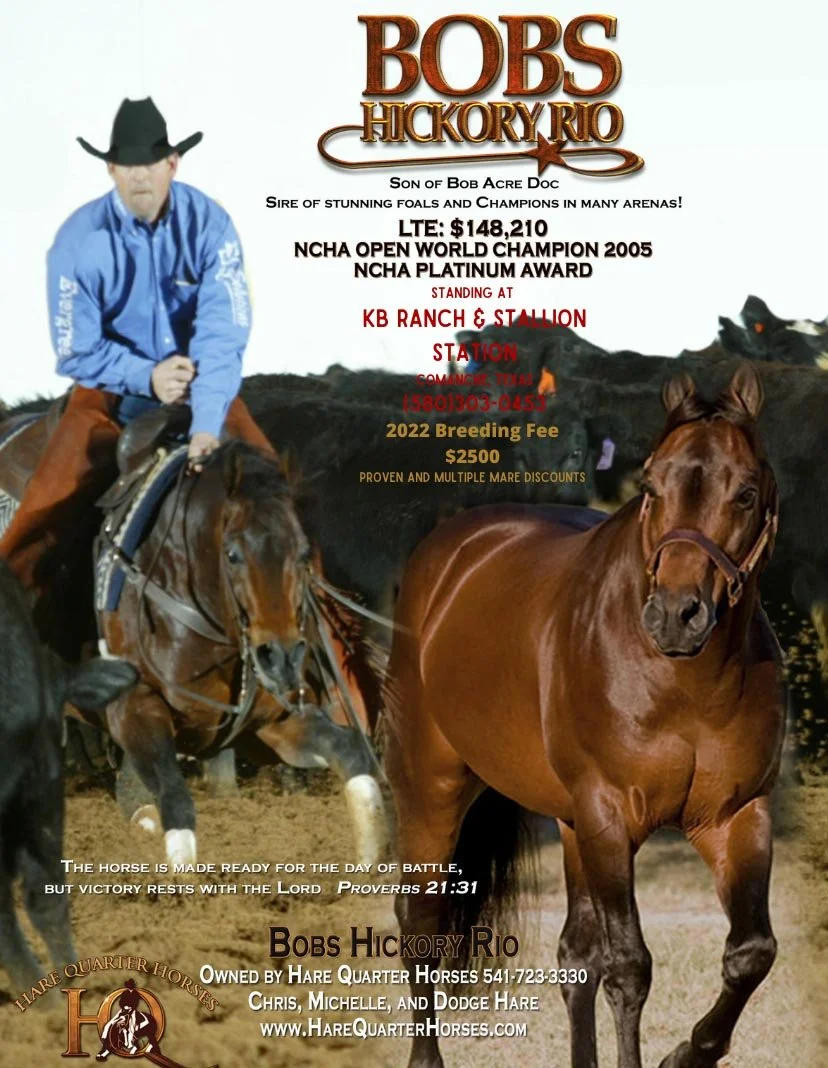 Bobs Hickory Rio — KB Ranch