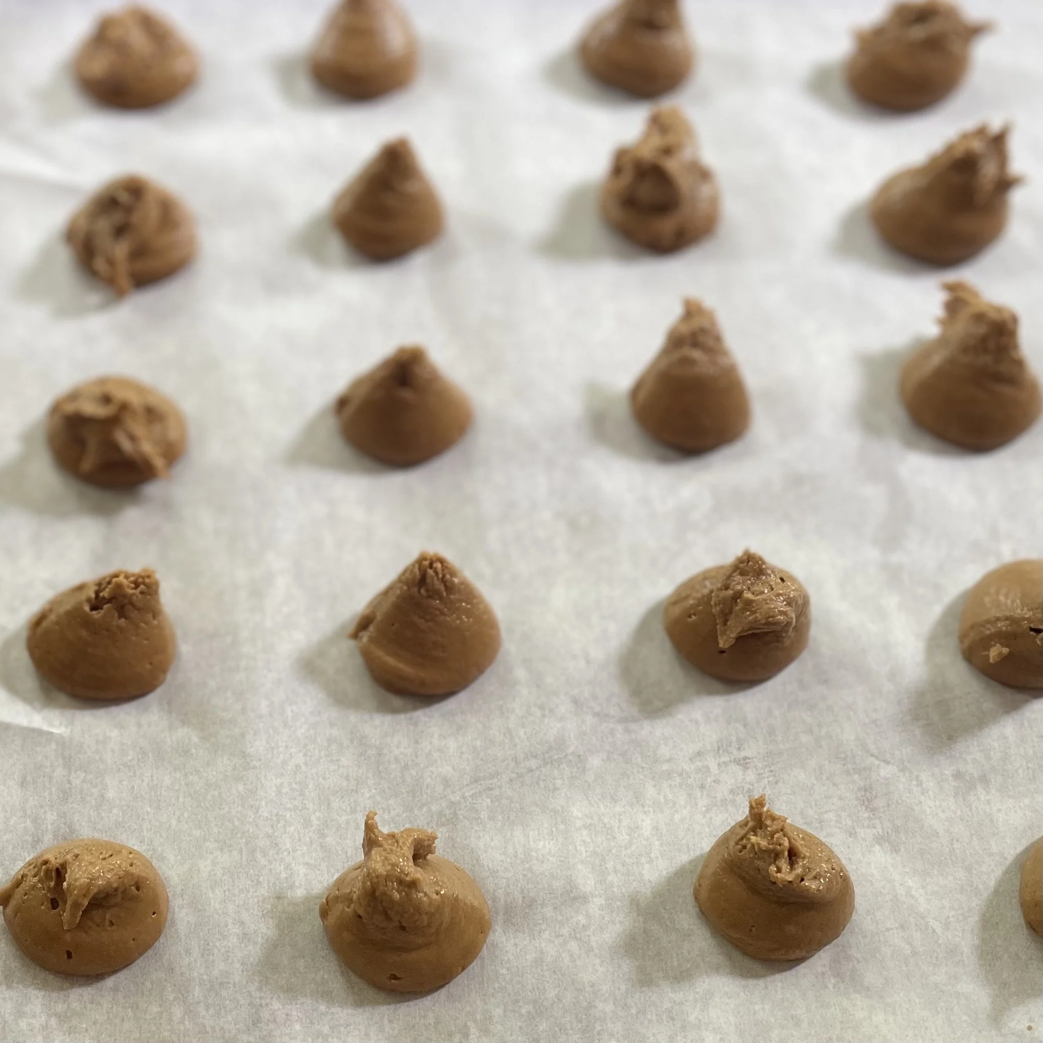 Spider Molasses Cookies — Inspiration Apron