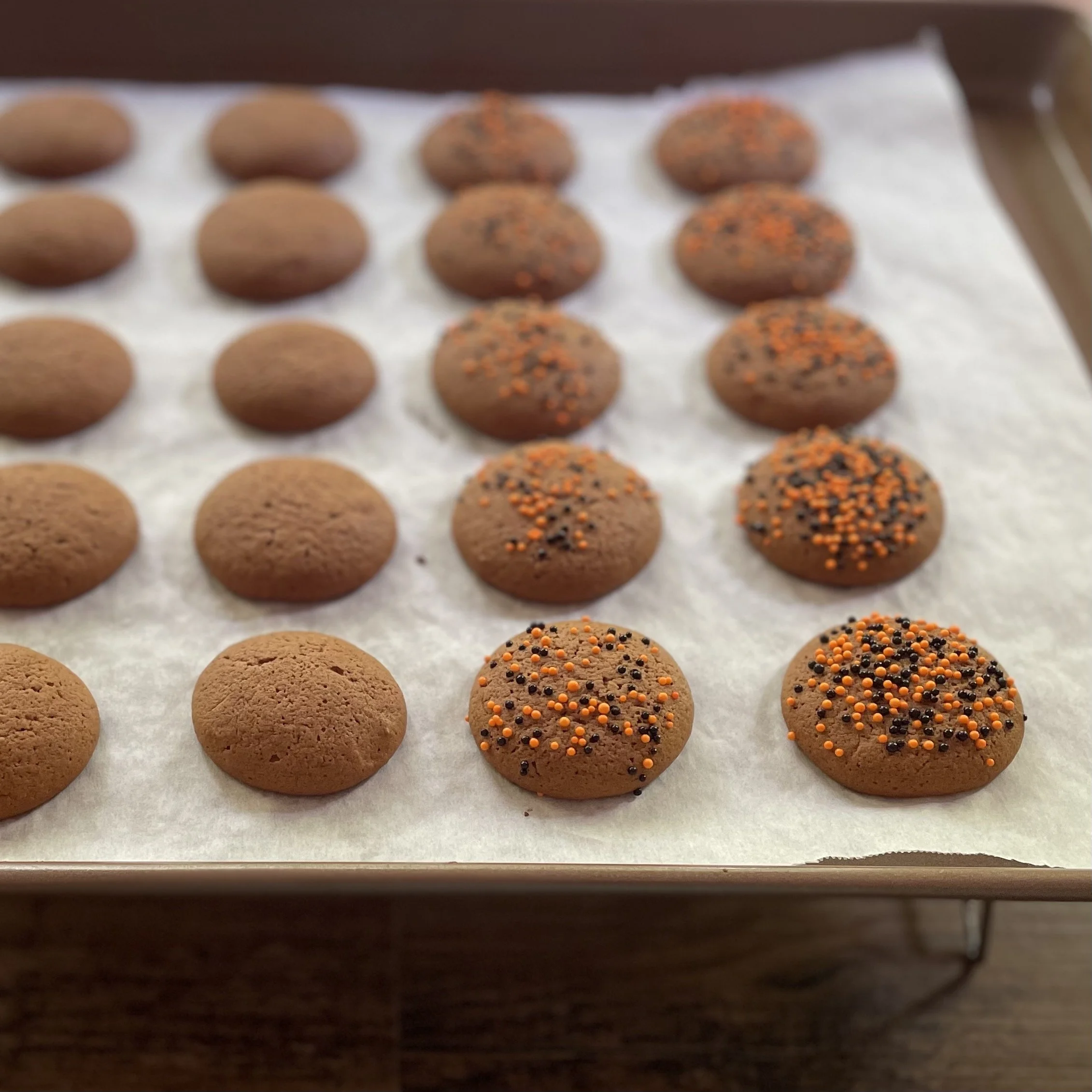 Spider Molasses Cookies — Inspiration Apron