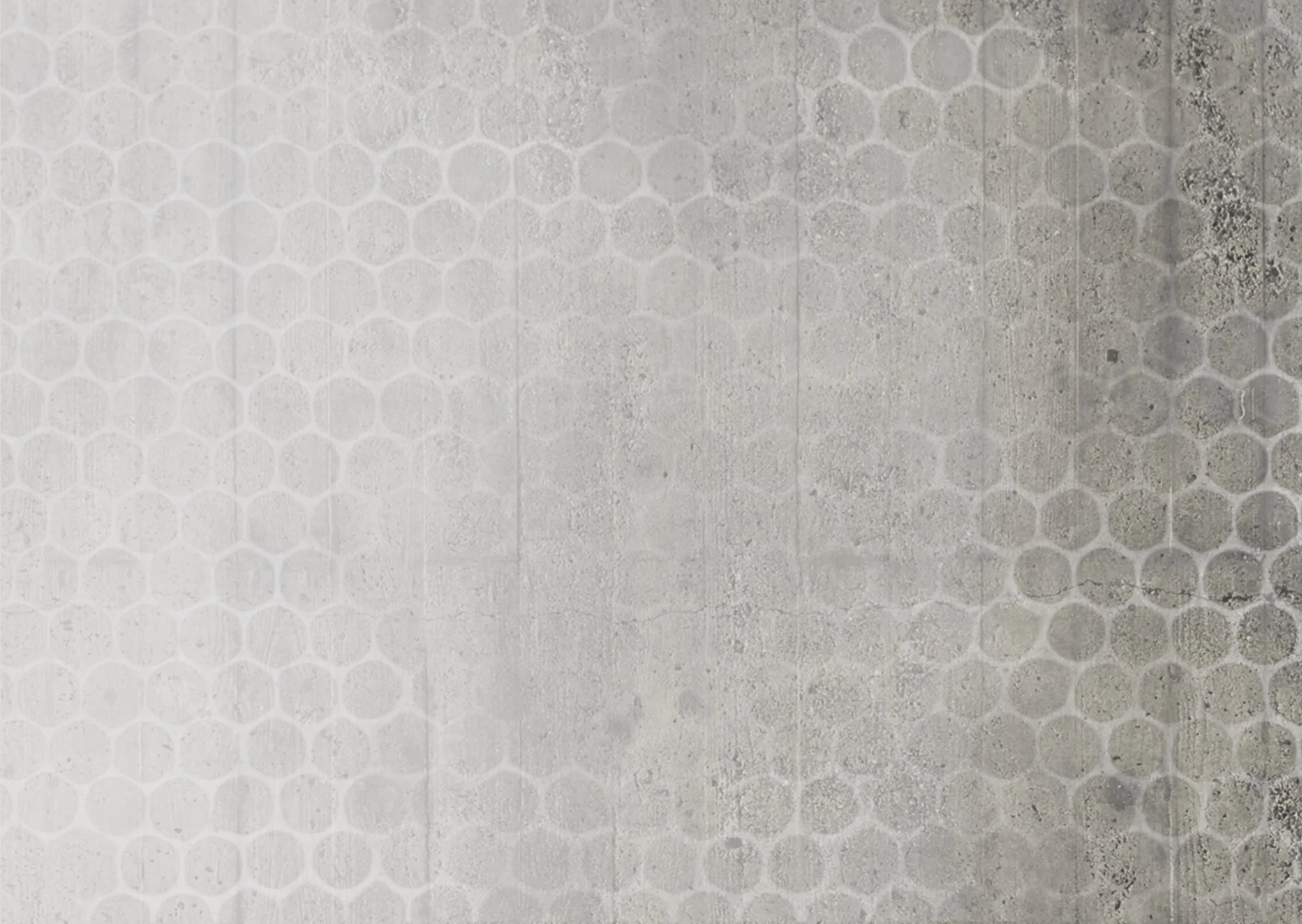 Propolis Housing Cooperative