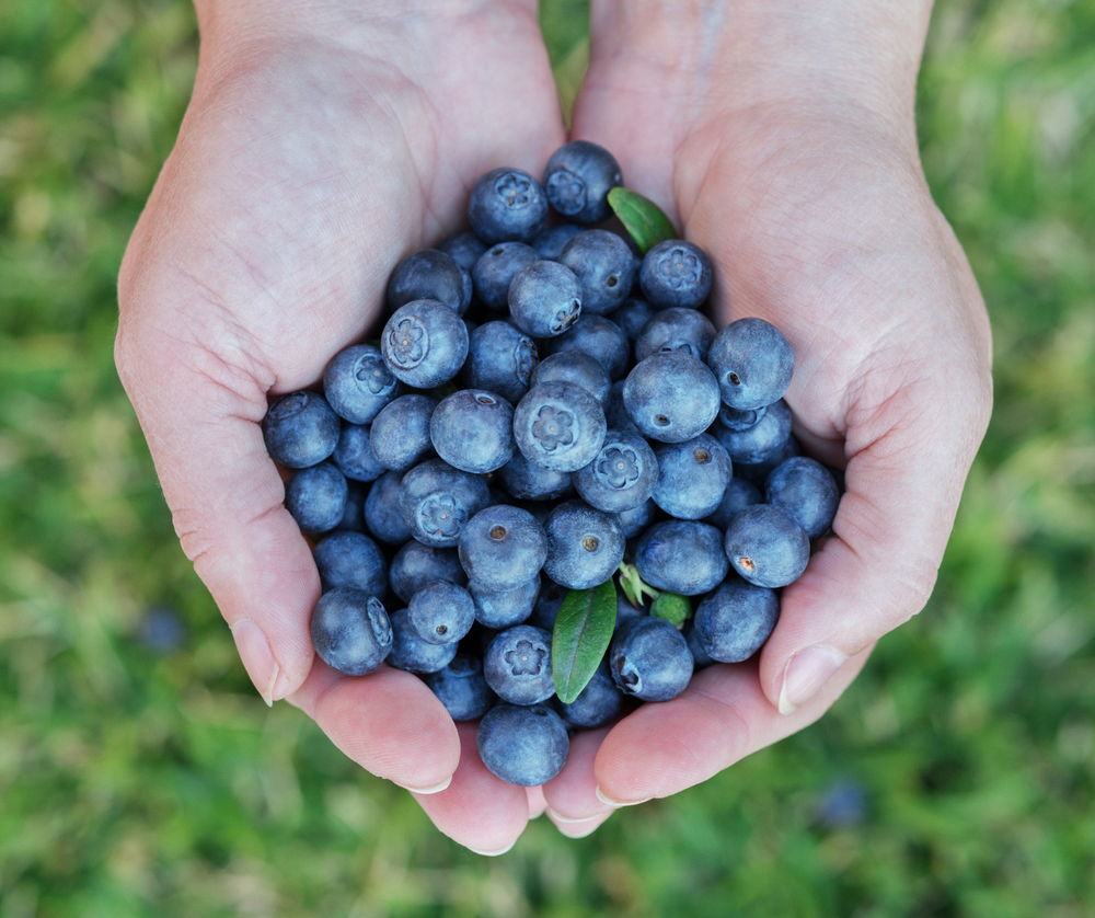 Blooming Acres Farm, LLC