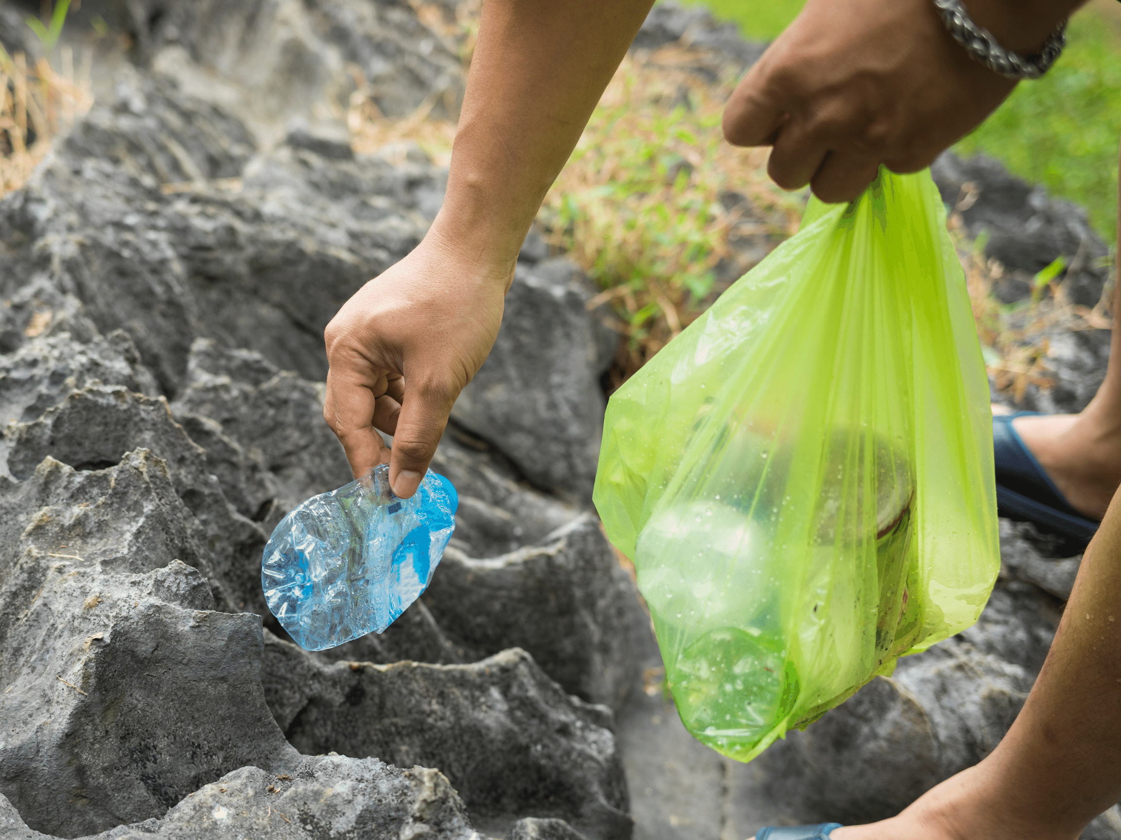 How Litter Impacts Events and What We Can Do About It — Sheeco Events