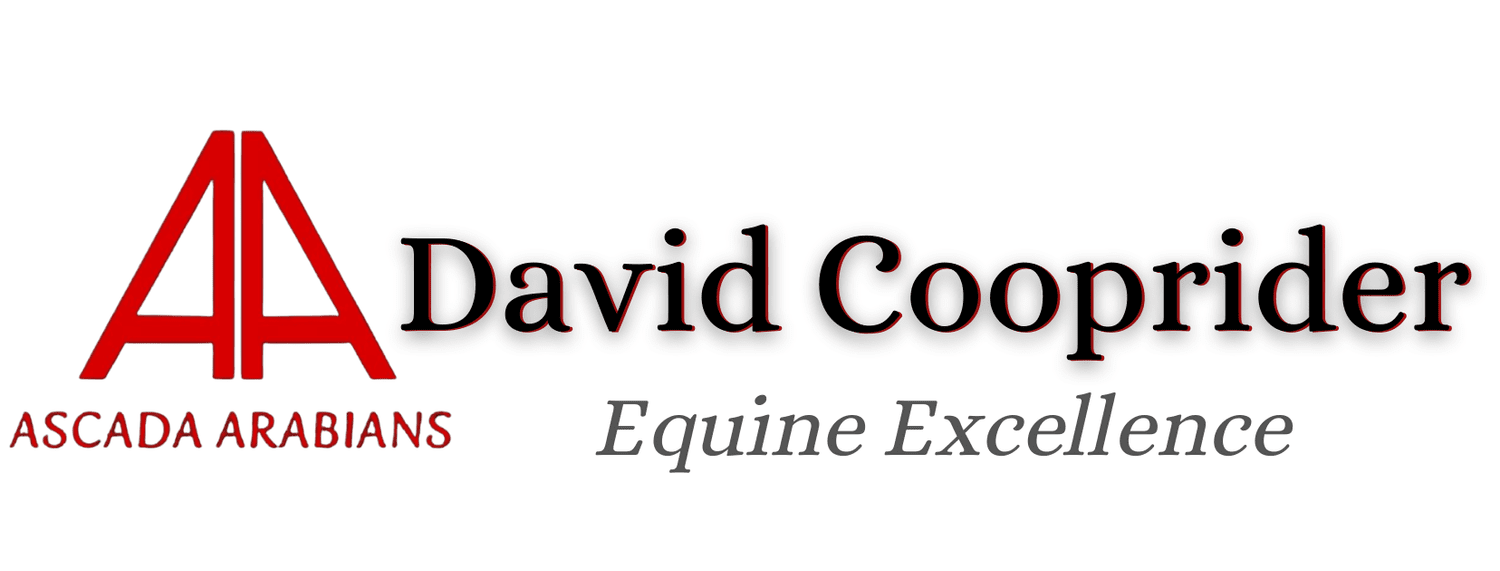Ascada Arabians Equine Excellence