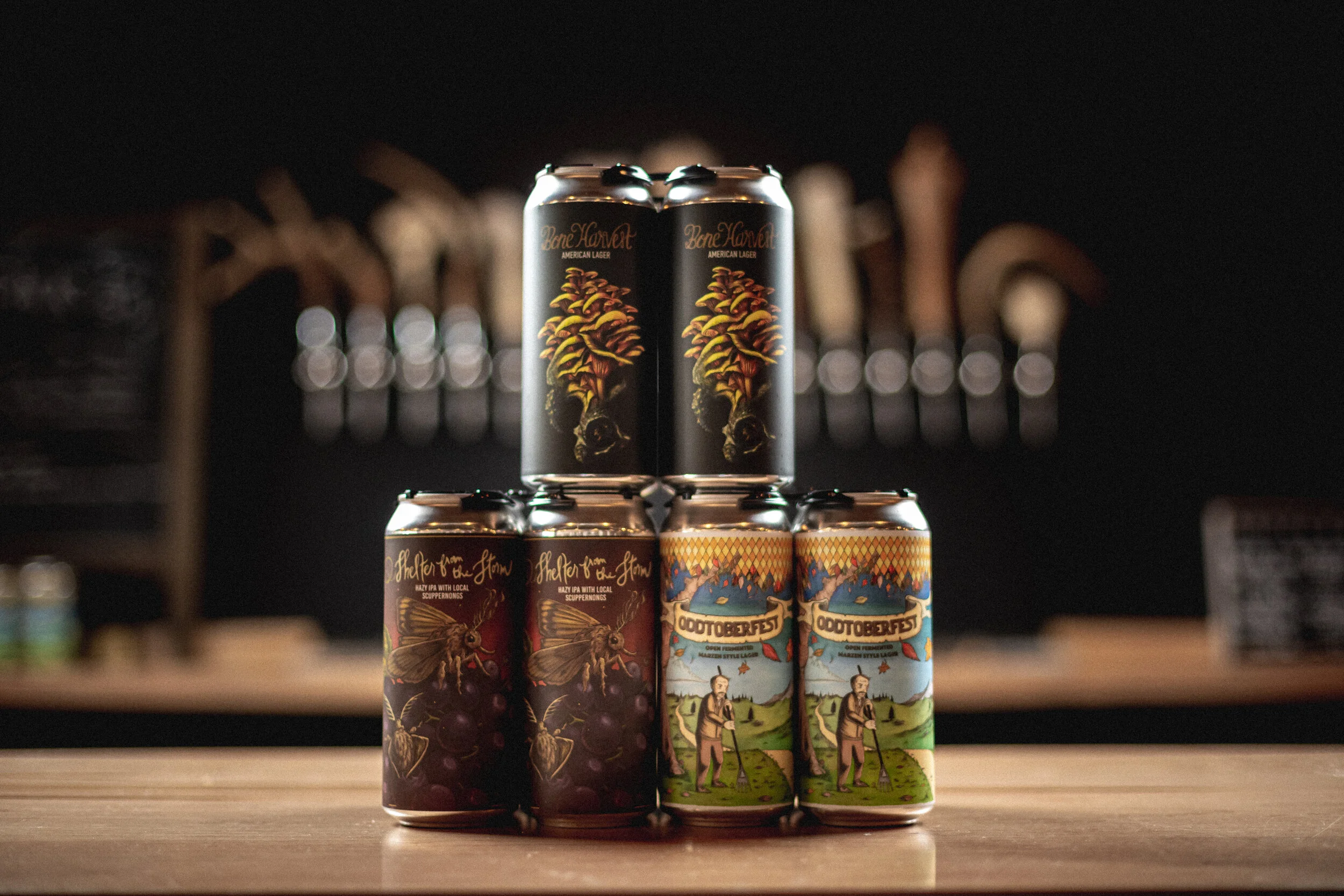 Odd Colony Brewing Company