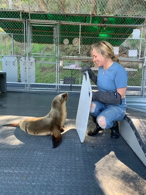 About — Tara Ellison