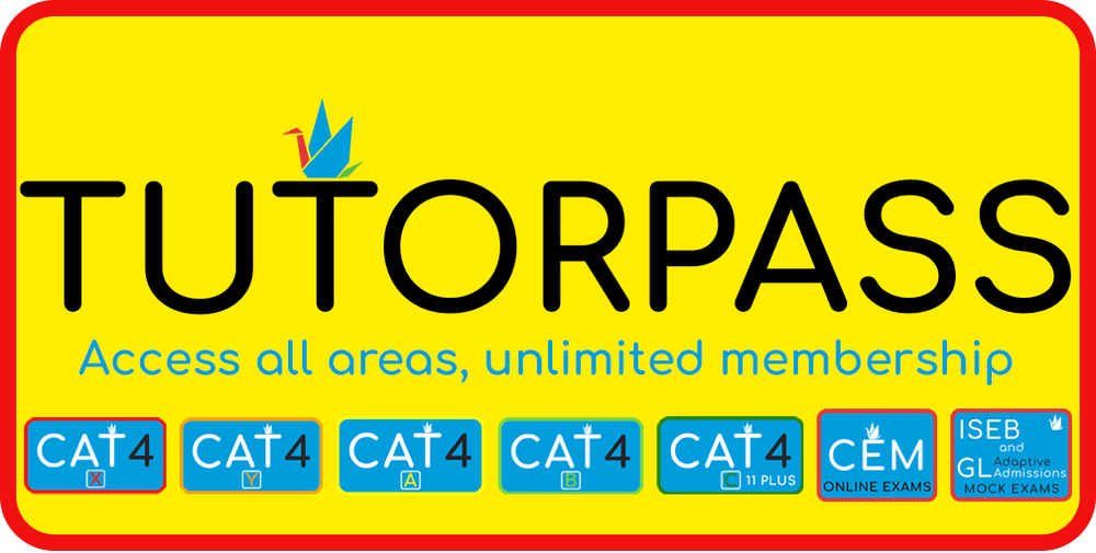 Tutor Access — Ready Steady Pass