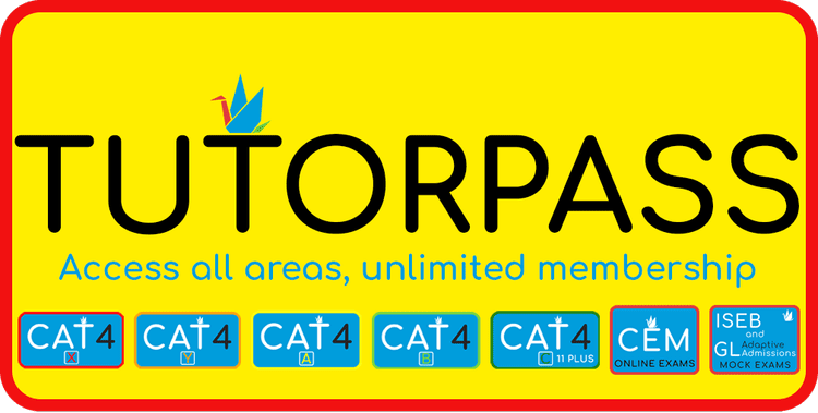 Tutor Access — Ready Steady Pass