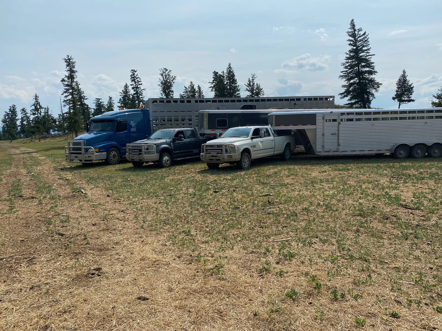 Livestock Hauling — Hanceville Cattle Co.