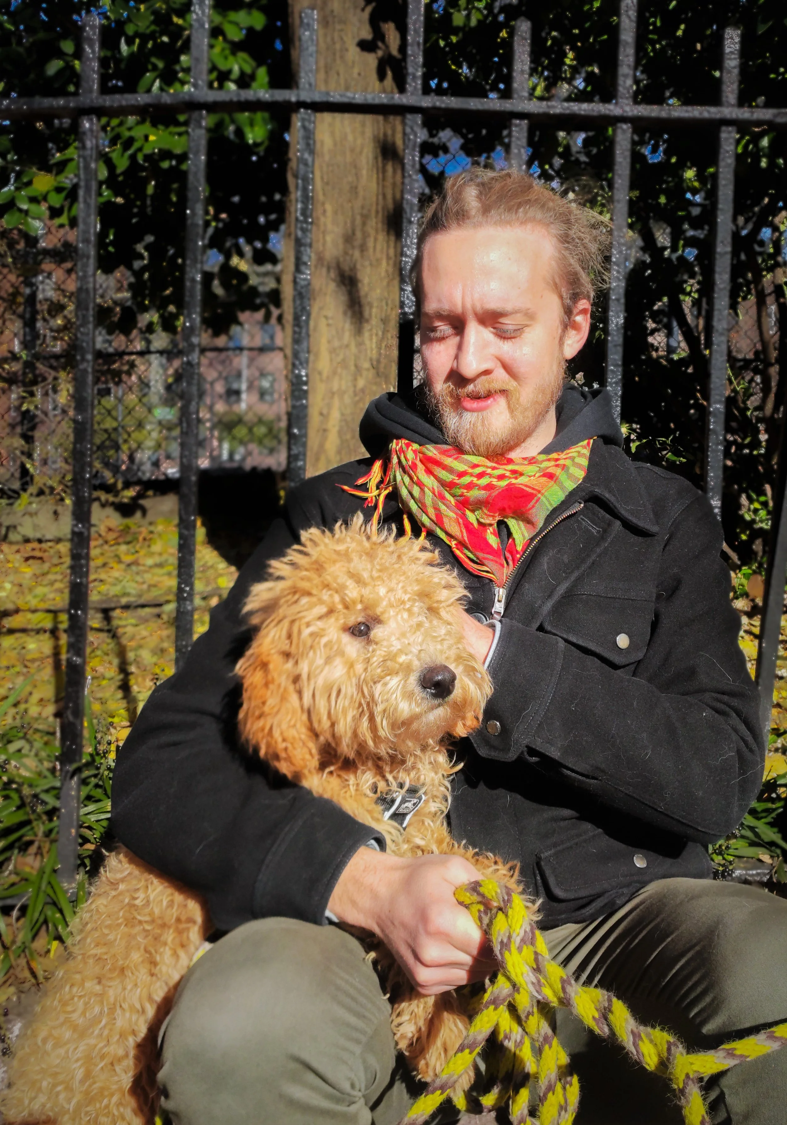 Brooklyn Puppy Classes | About us — Woofs & Wags - Dog Walkers & Pet ...