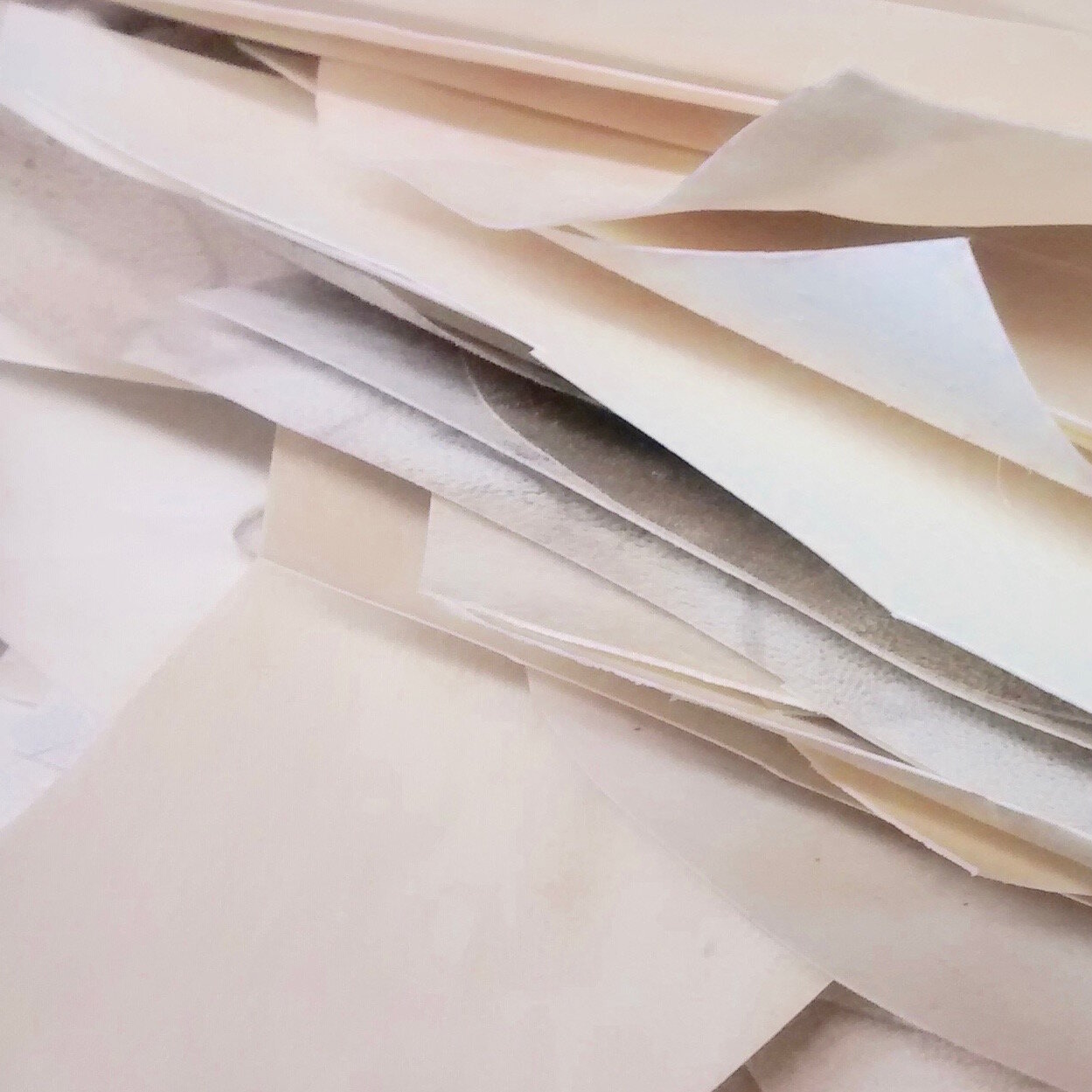 Parchment — Pergamena