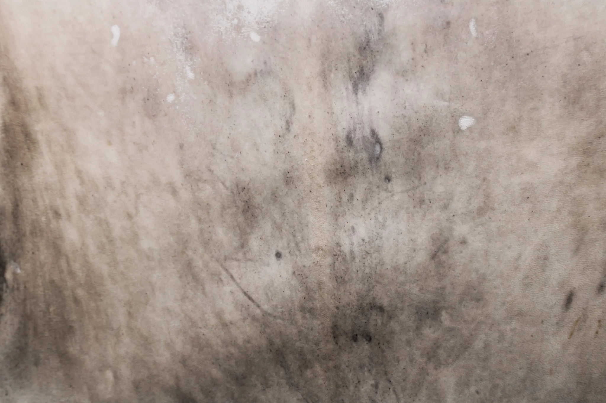 Buy handcrafted American made true Parchment — Pergamena