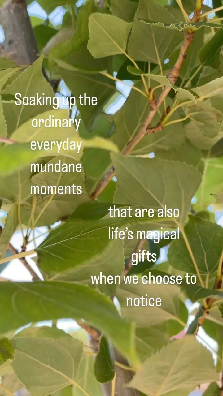 Aleen Raybin, Spiritual Mentor & Therapist in California, Washington ...