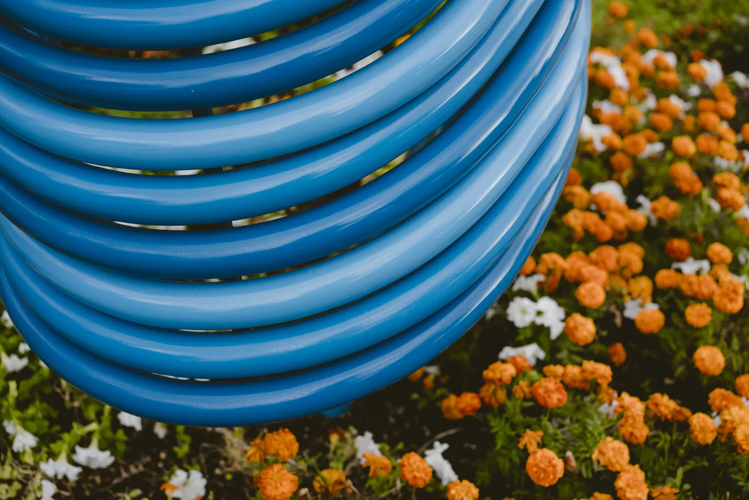 Licton Flow — W SCOTT TRIMBLE