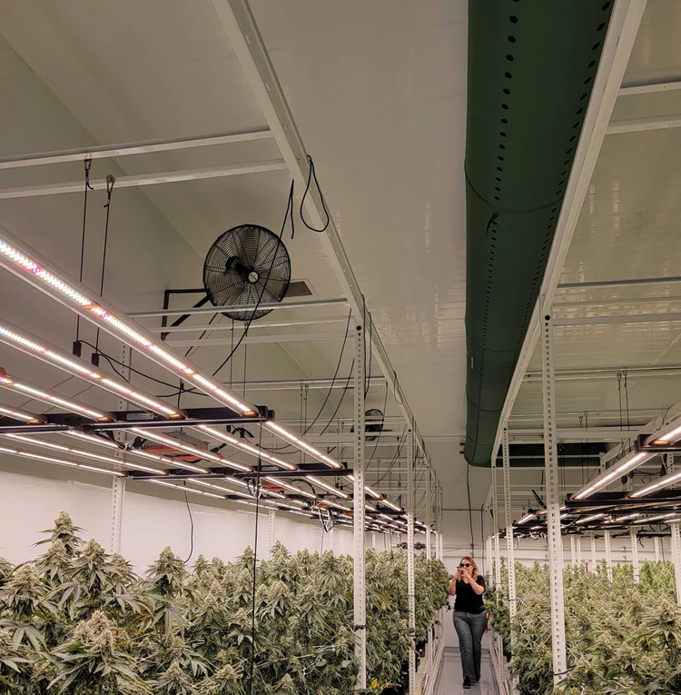 Five Things to Know About Airflow — Dr. Greenhouse, Inc.