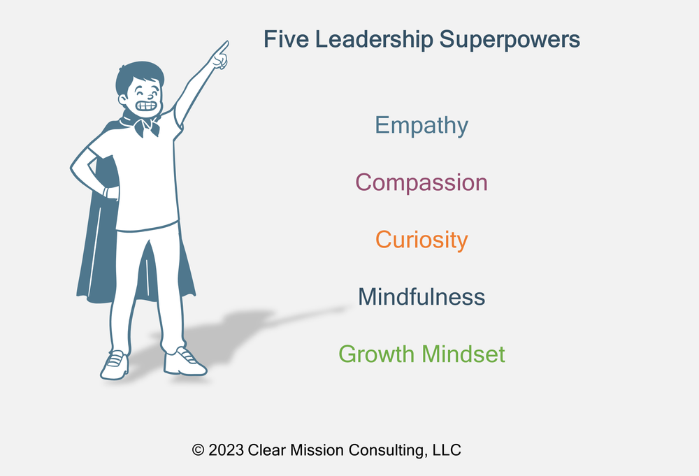 Clear Mission Consulting, LLC | Lens on Leadership