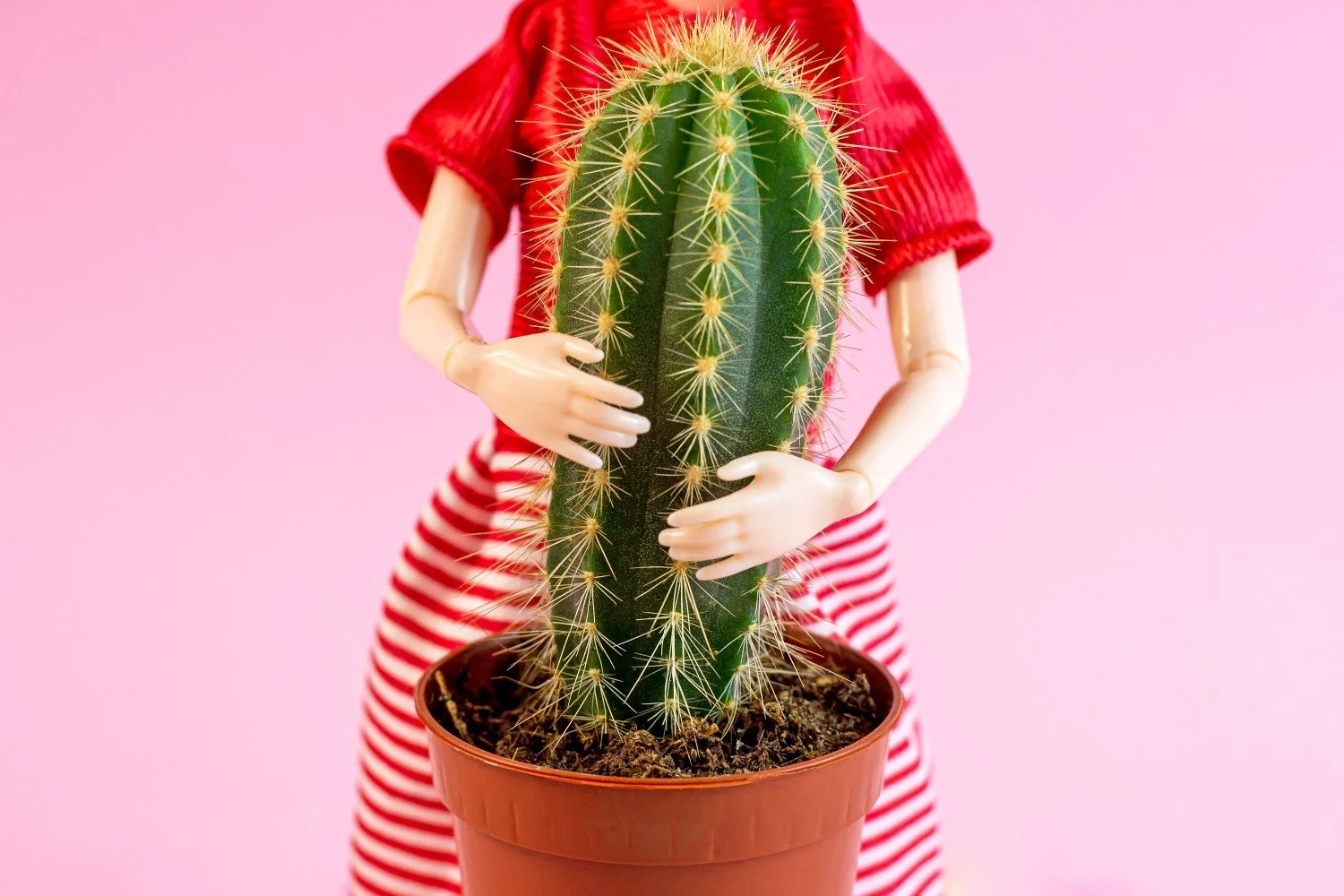 Embracing Criticism | Clear Mission Consulting