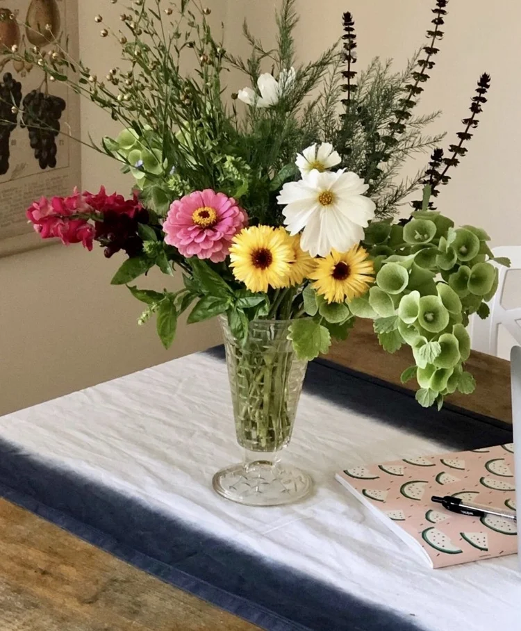 The Best Flowers To Grow In Brisbane, Month By Month — Salisbury Grange