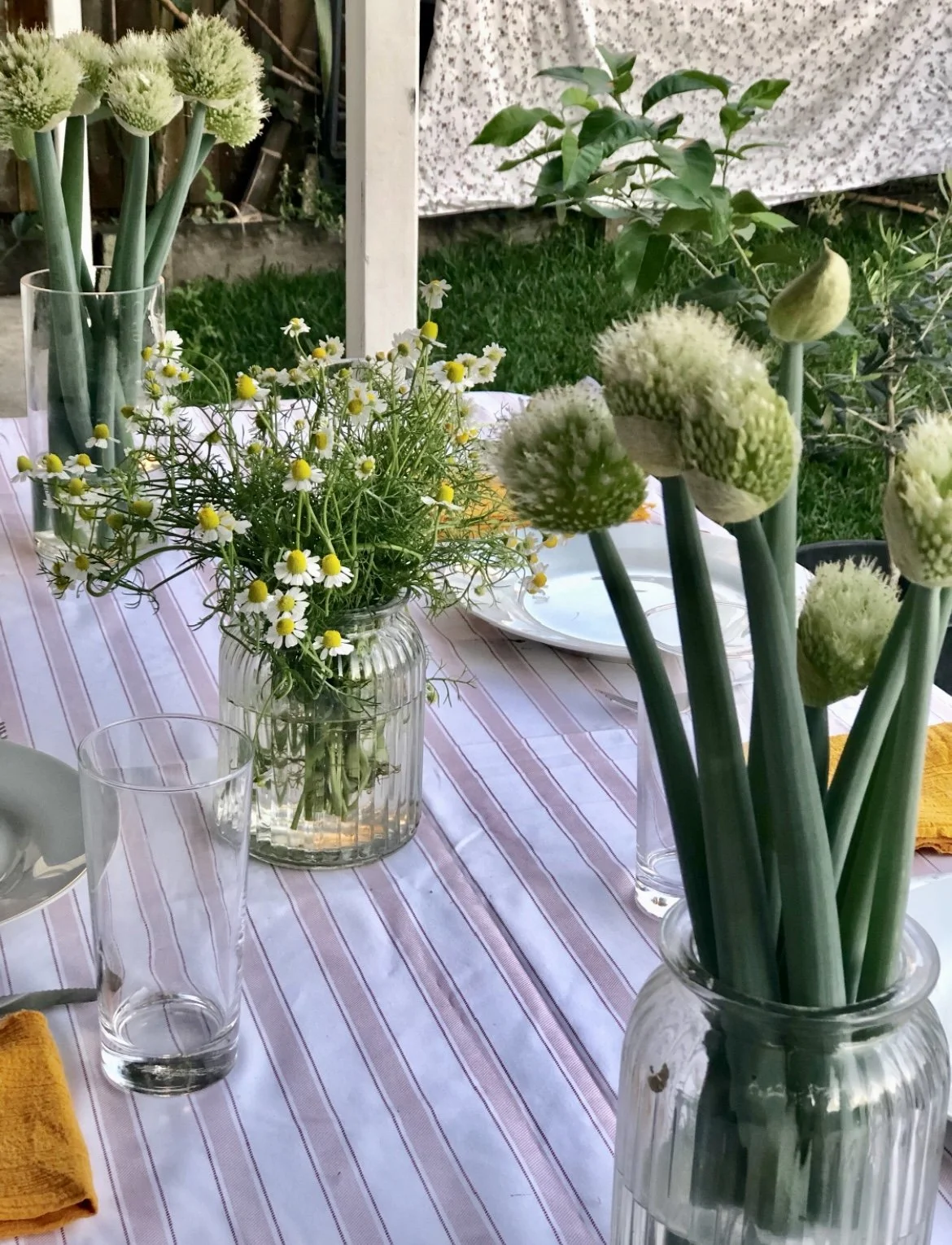 The Best Flowers To Grow In Brisbane, Month By Month — Salisbury Grange