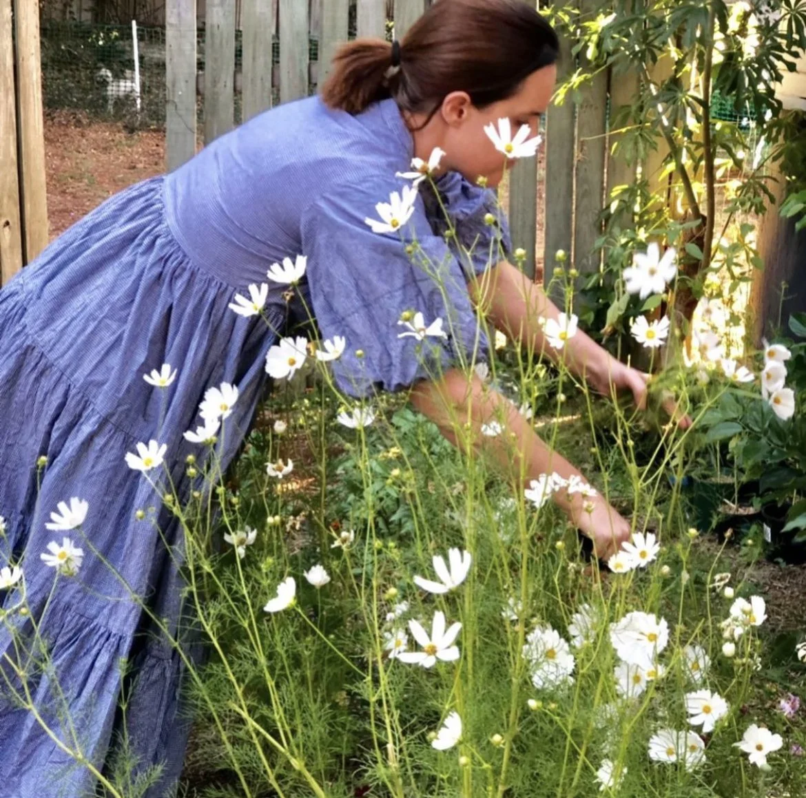 The Best Flowers To Grow In Brisbane, Month By Month — Salisbury Grange