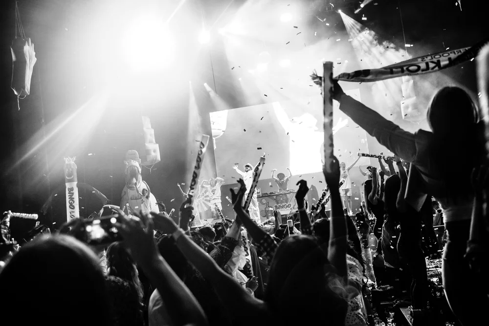 PRIVATE BOOKINGS — Bingo Loco Australia