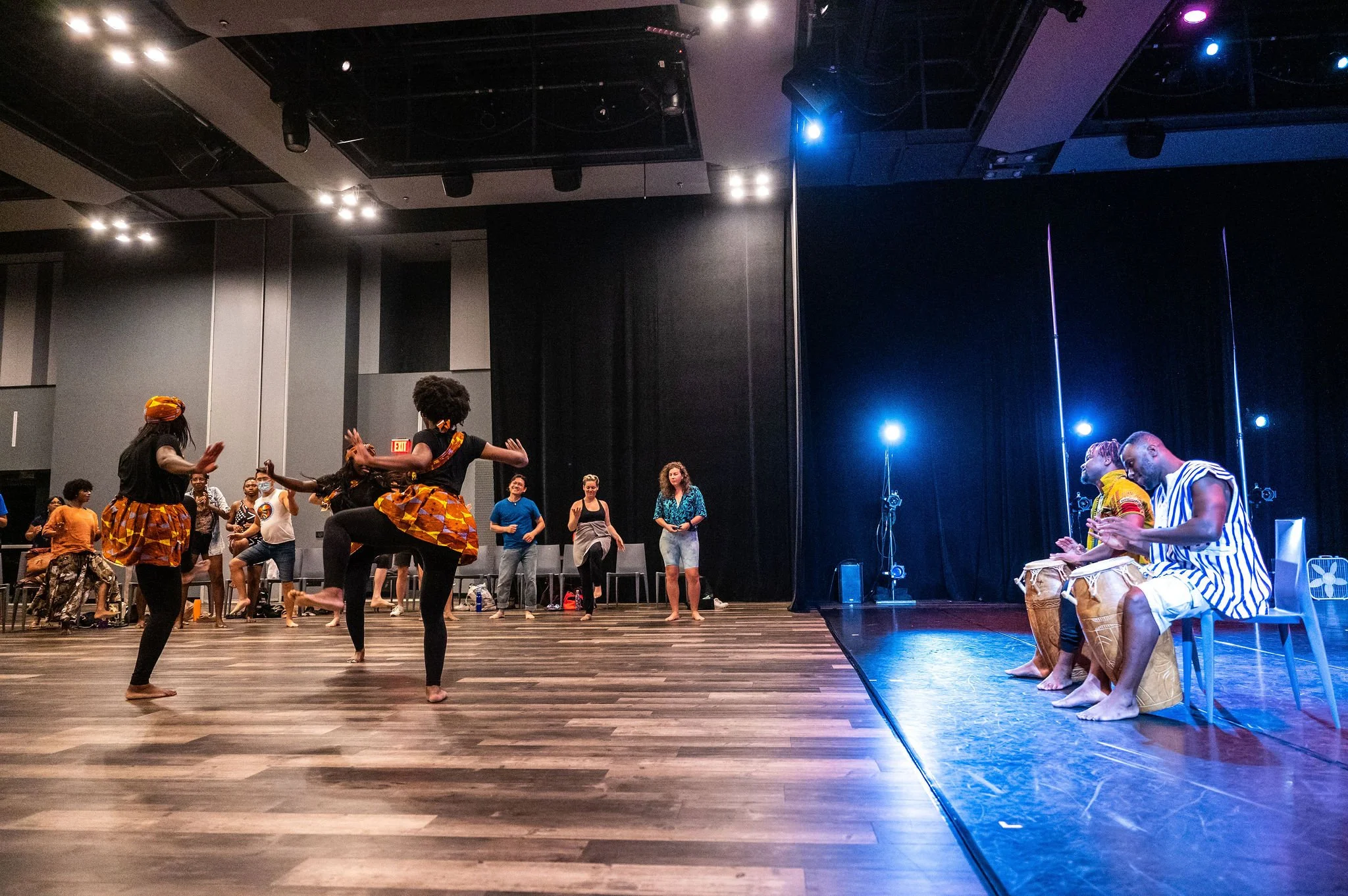 West African and Caribbean Dance Workshops for Schools — ZAHRAMOVES