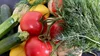 Dill: Culinary Uses, Storage and Health Benefits — Westridge Fruit ...