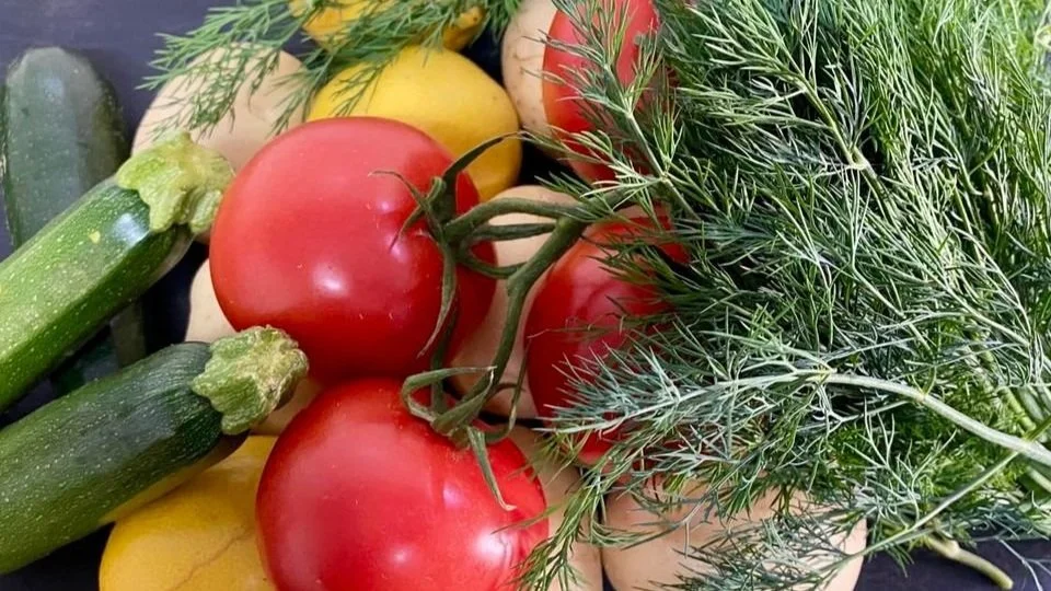 Dill: Culinary Uses, Storage and Health Benefits — Westridge Fruit ...