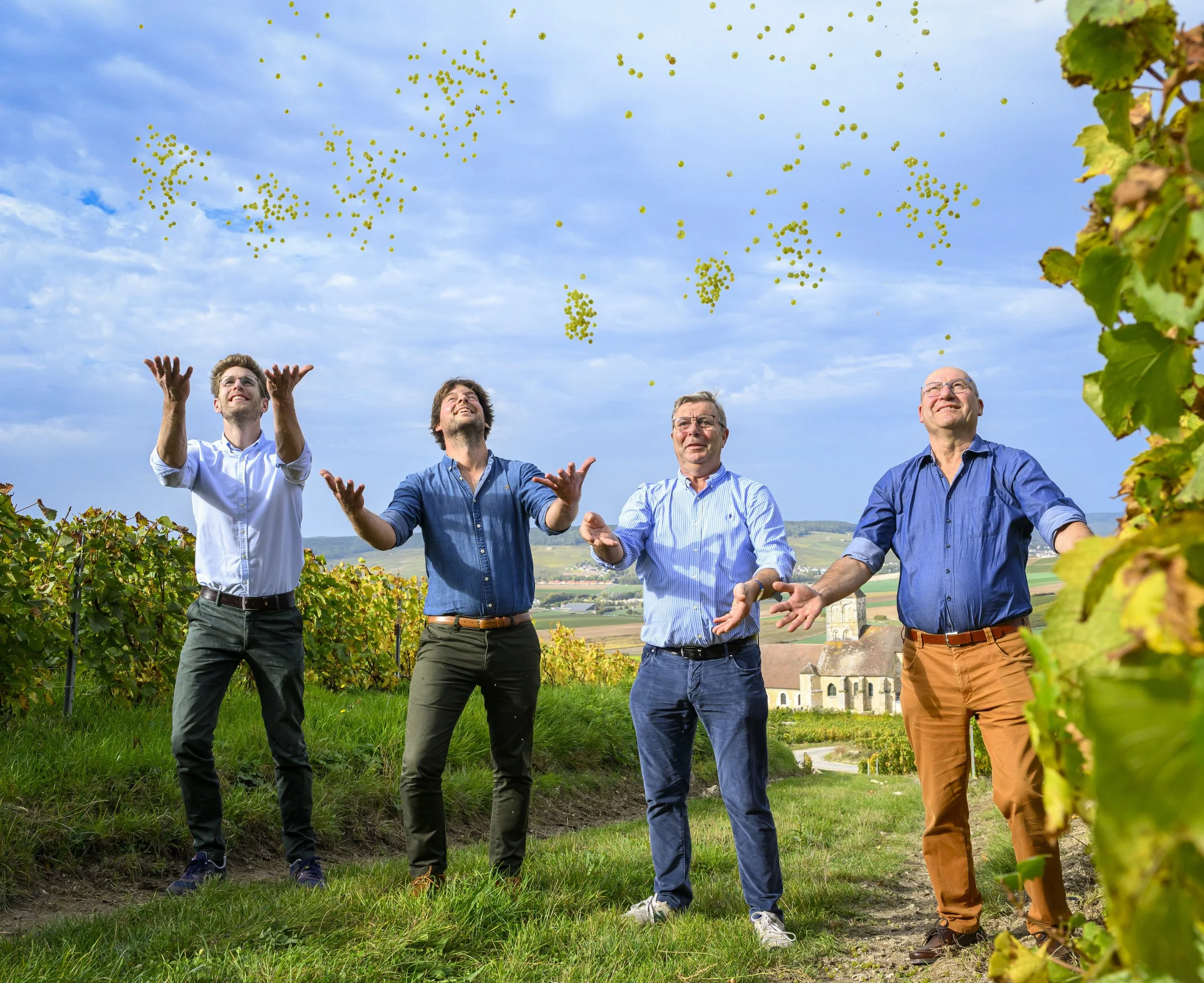Wine Producer Portfolio - Le Sommelier Wine Agency