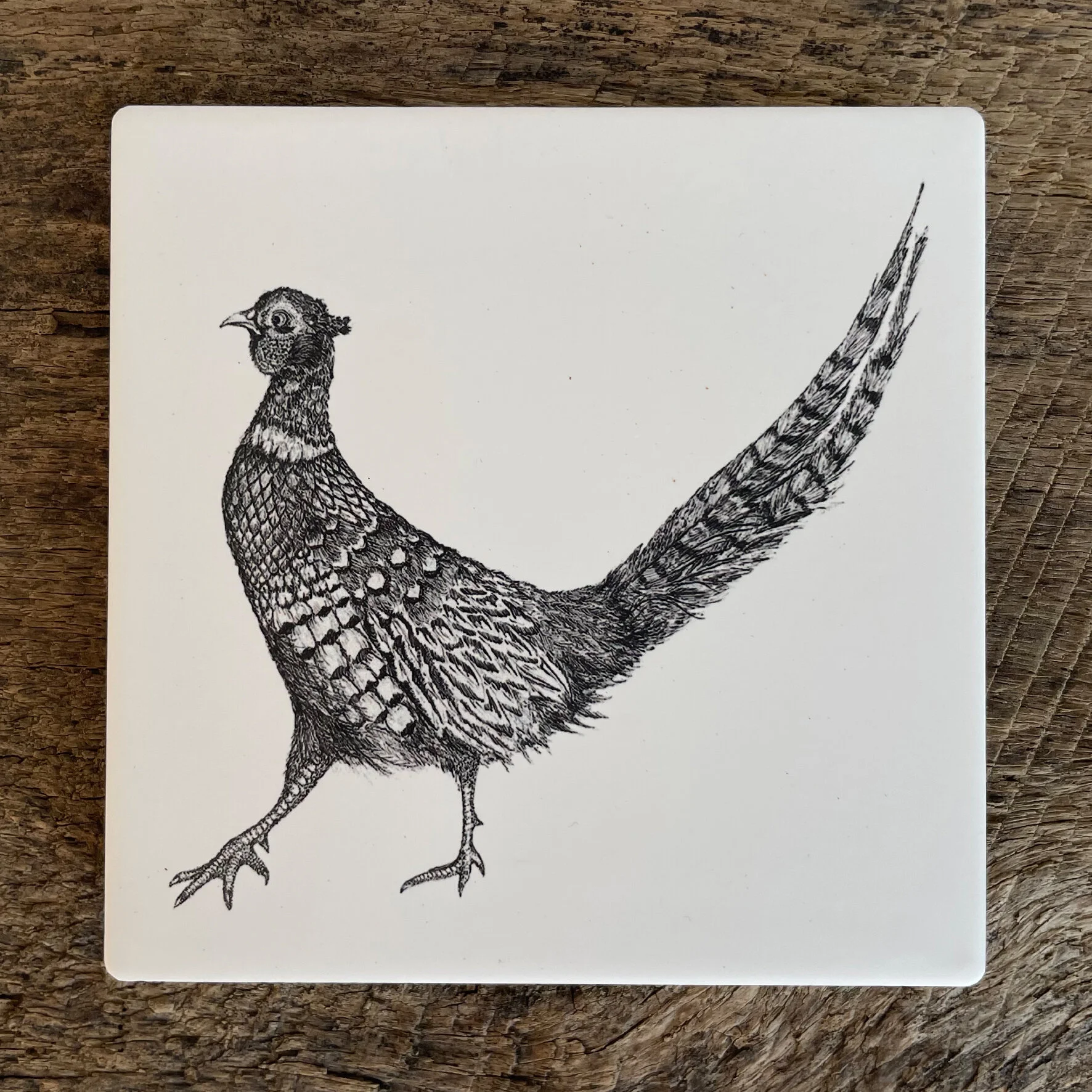 Store 1 — Kate Please Ltd.