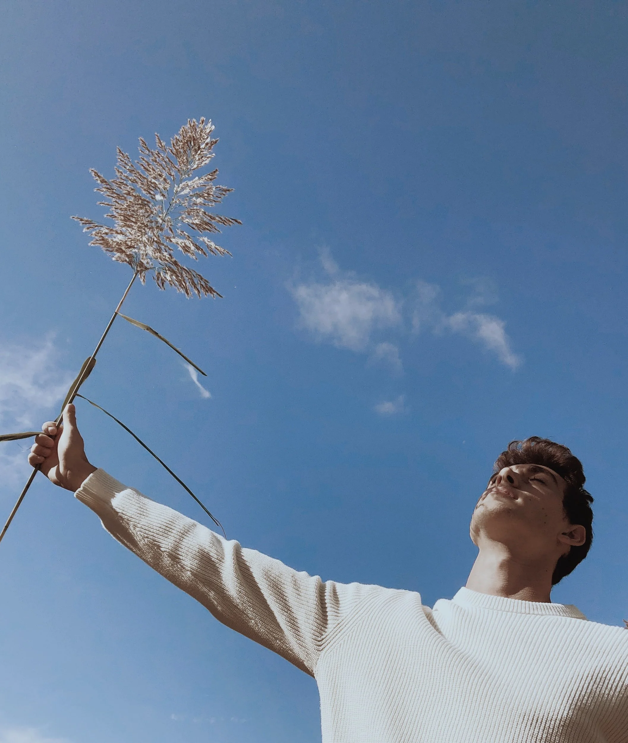 Training — Guernsey Counselling Service