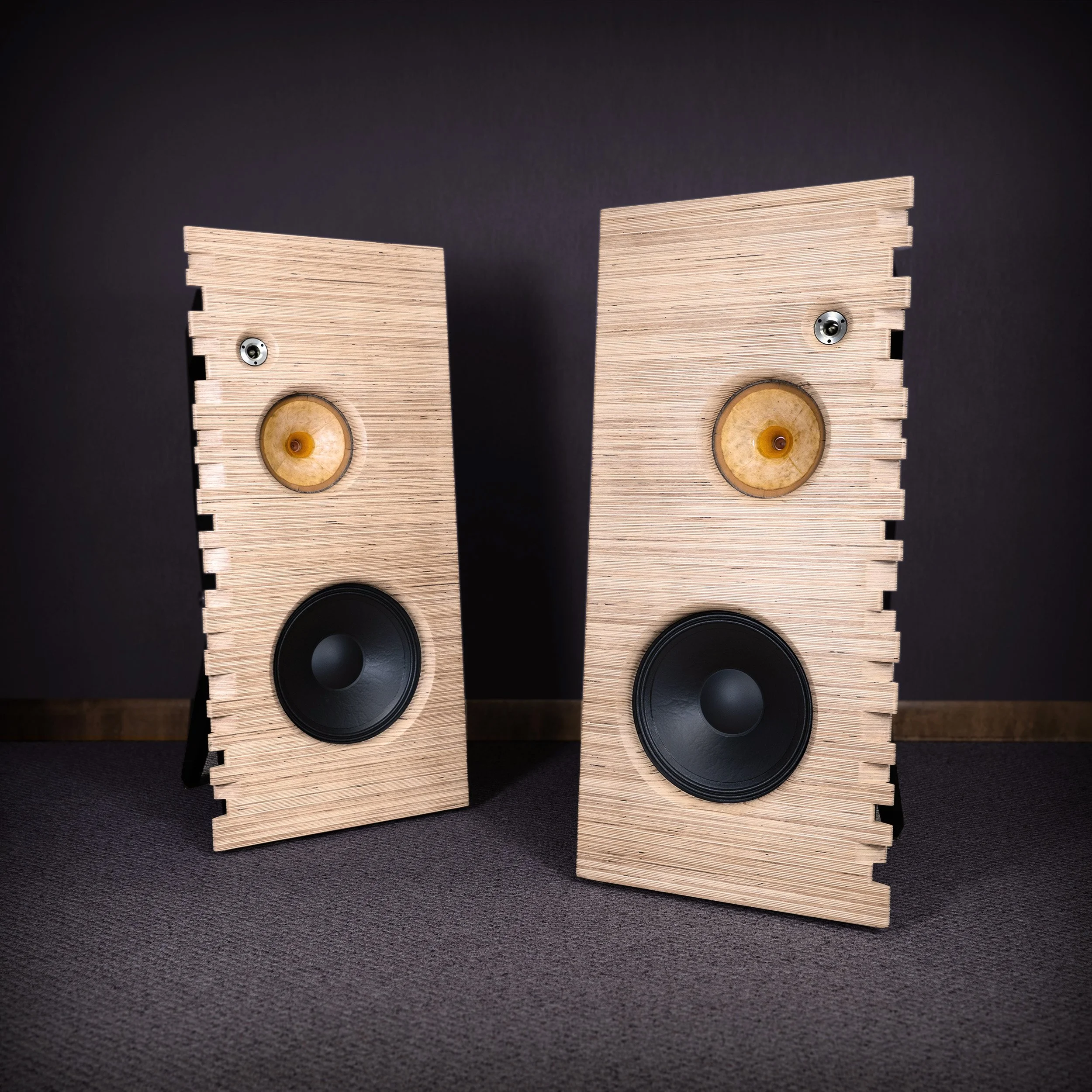 Treehaus Audiolab Field Coil Speakers