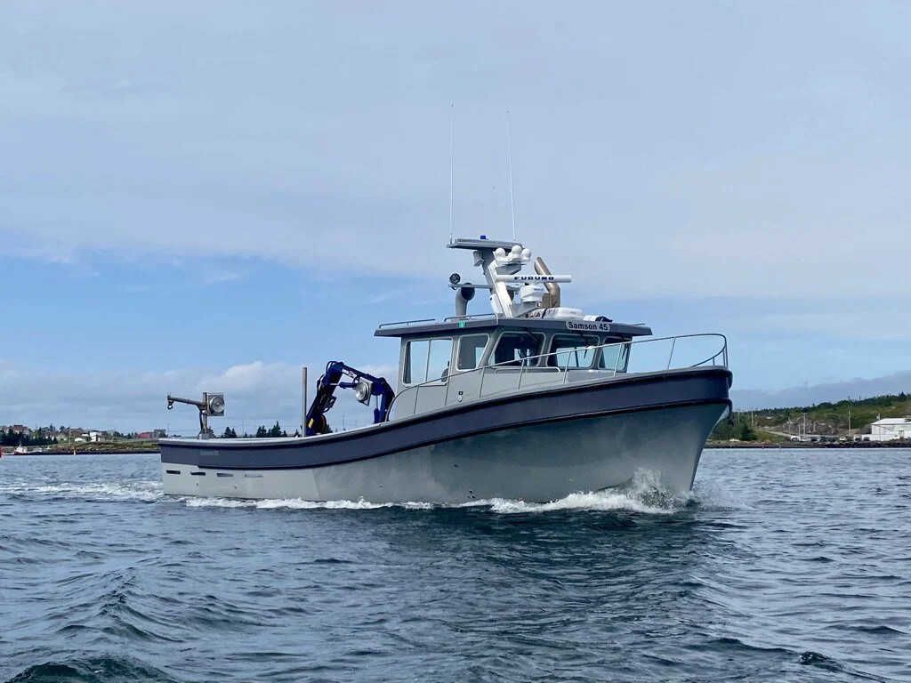 Services 4 — Samson Enterprises