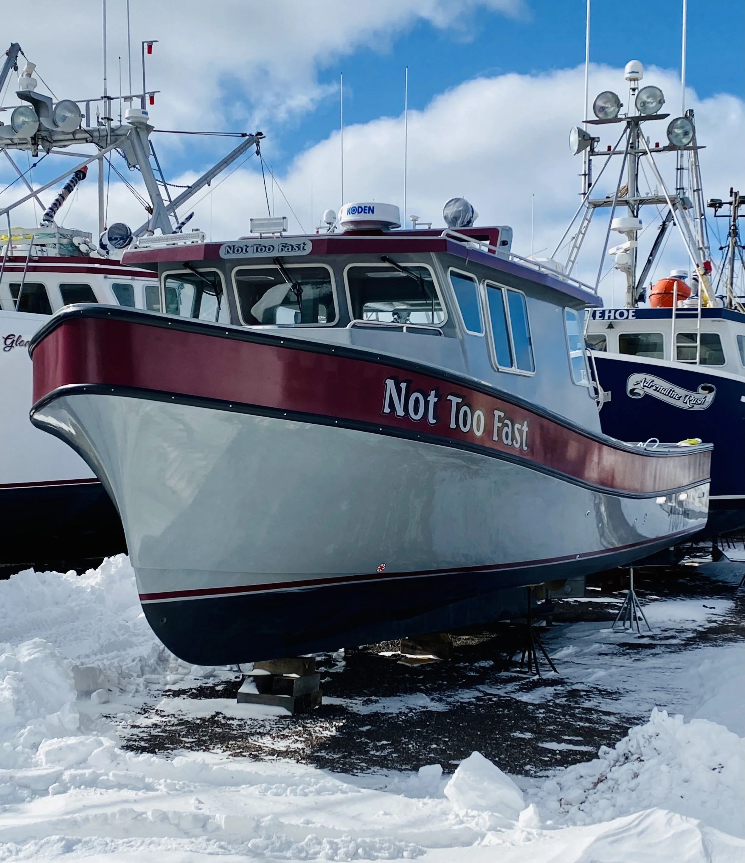 Not too Fast | Discover Quality Boats — Get Started Today — Samson ...