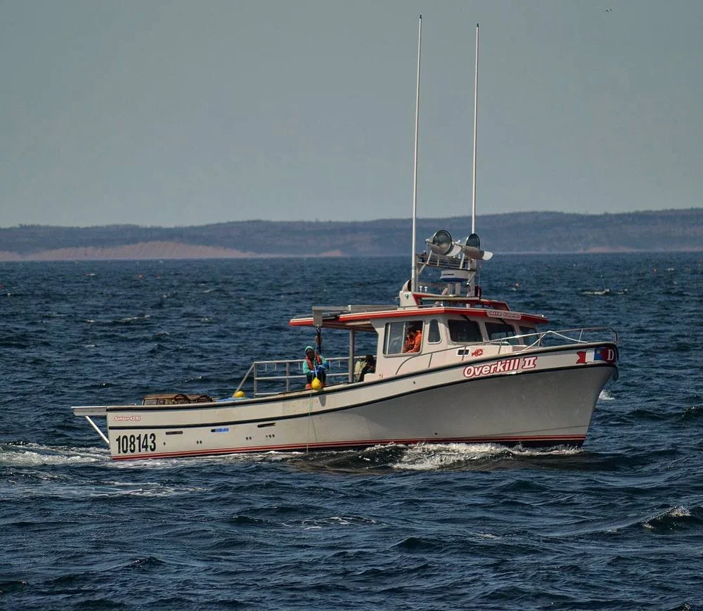 Overkill | Discover Your Perfect Boat – Get Started — Samson Enterprises