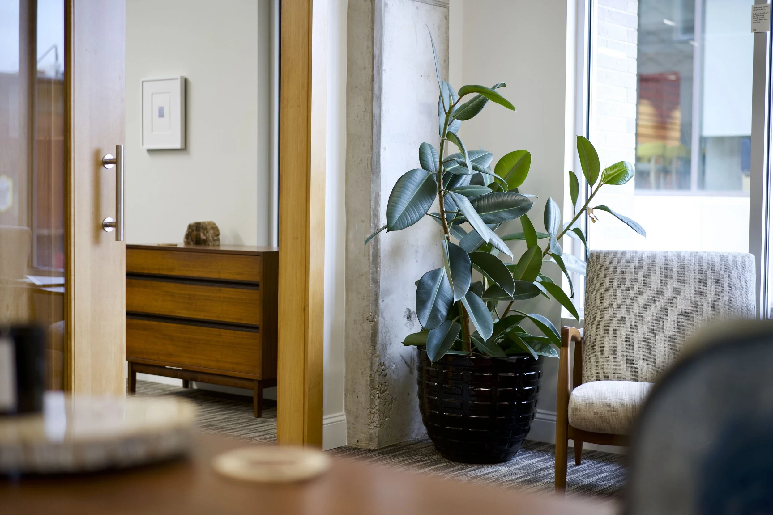 Our Team — Elevate Group