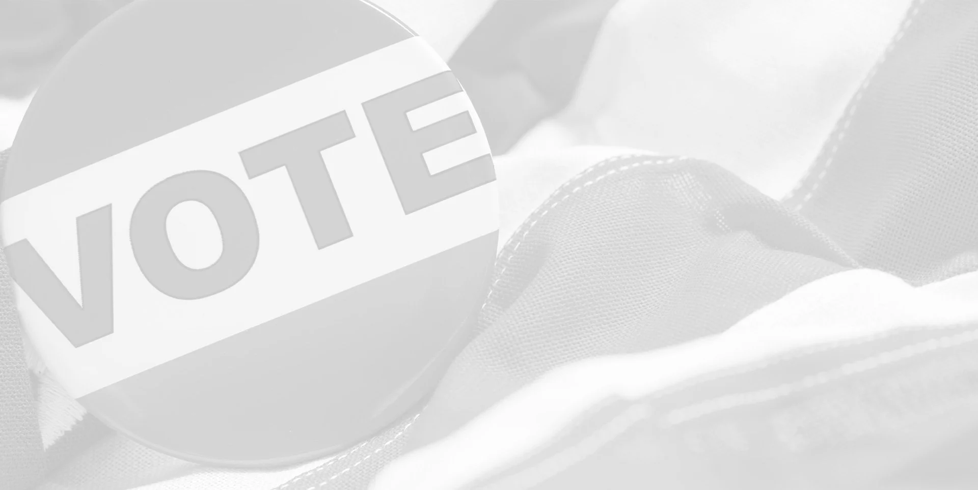 Go Vote Georgia