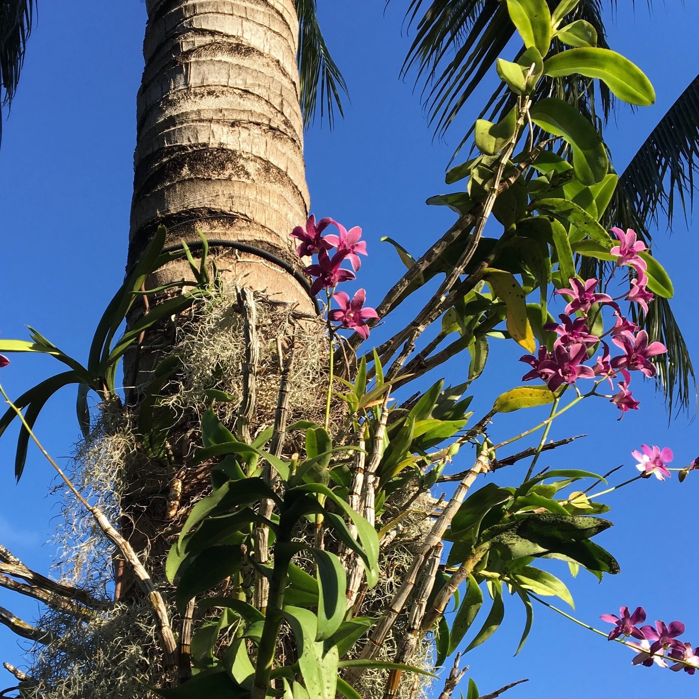 Writing Portfolio — Christa Butler