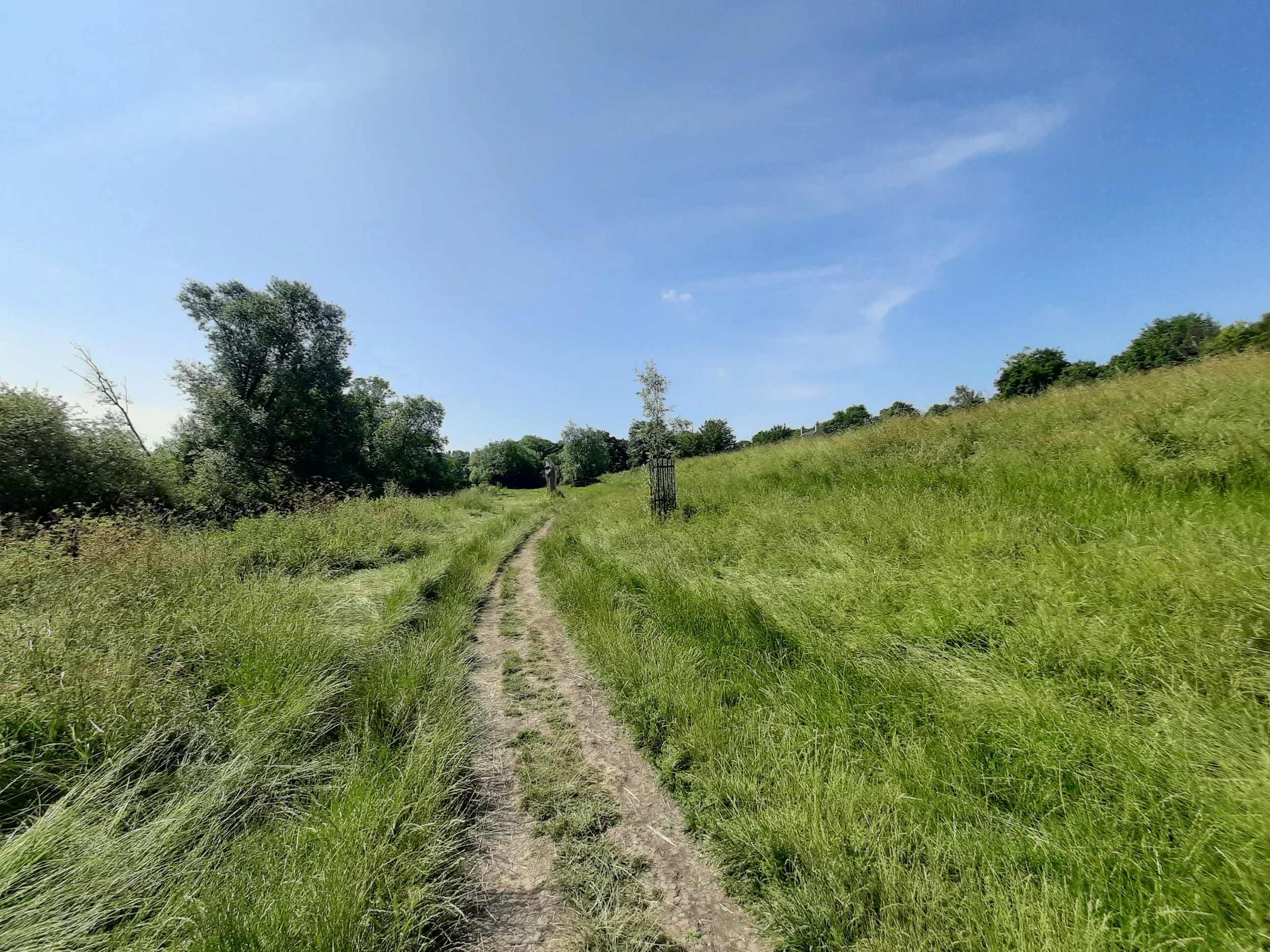 Grantchester via The Meadows — Walks of Cambridge