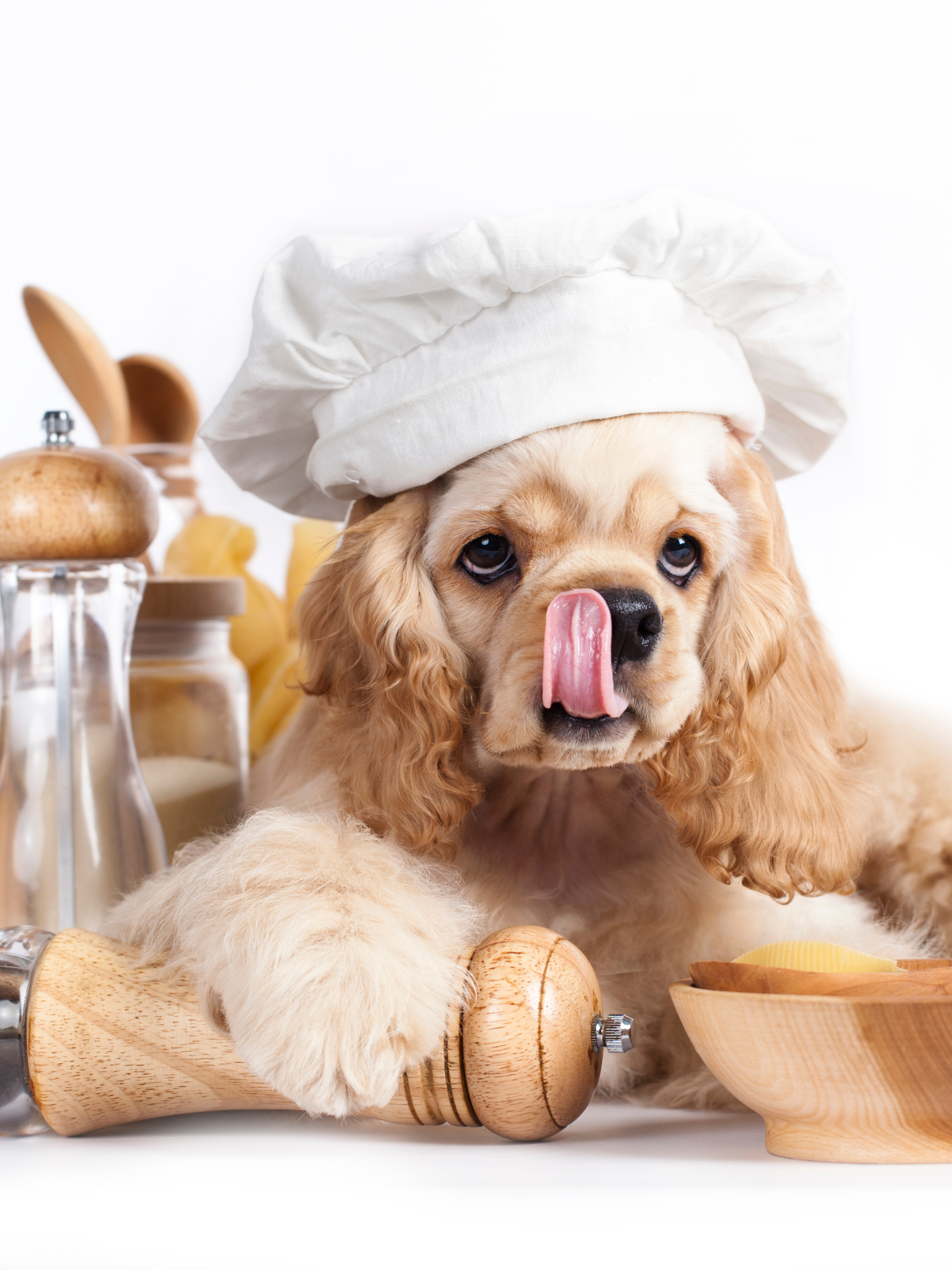 Dog Baking
