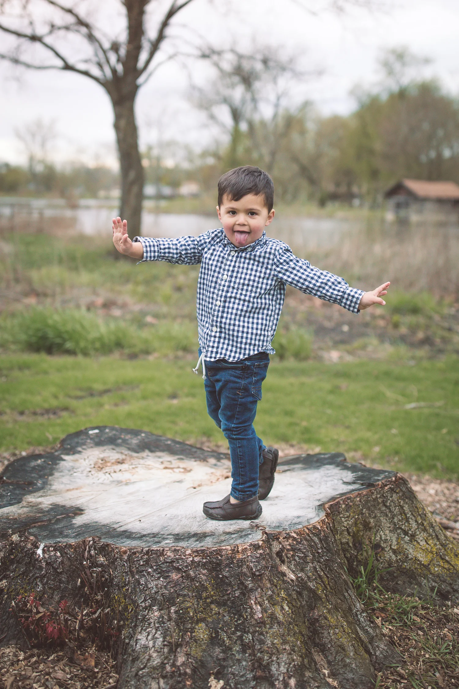 Wheaton Family Photographer, Family Session at Northside Park, Wheaton ...