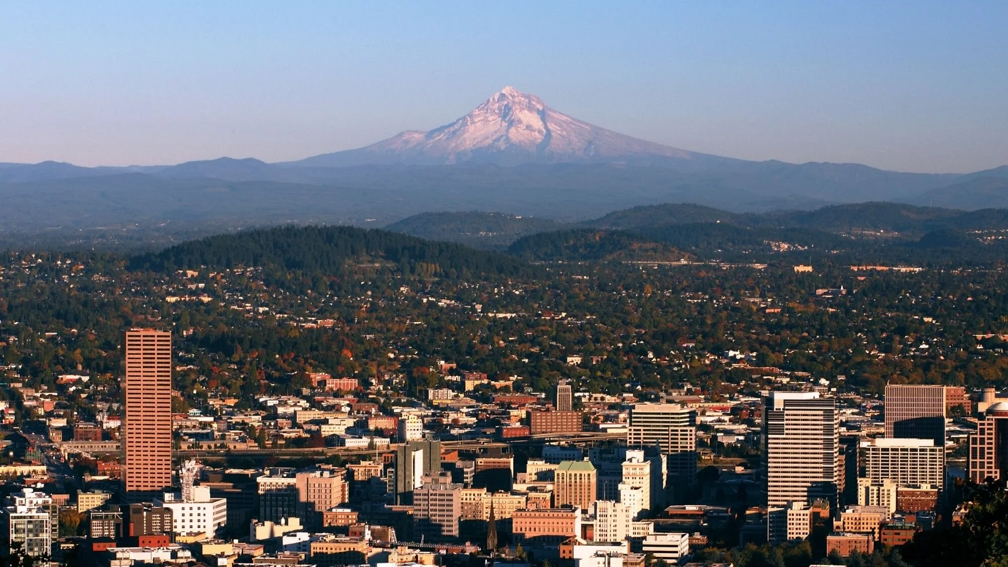 Indigenous People's Day and the Unlearning Journey — Doerr&Co.