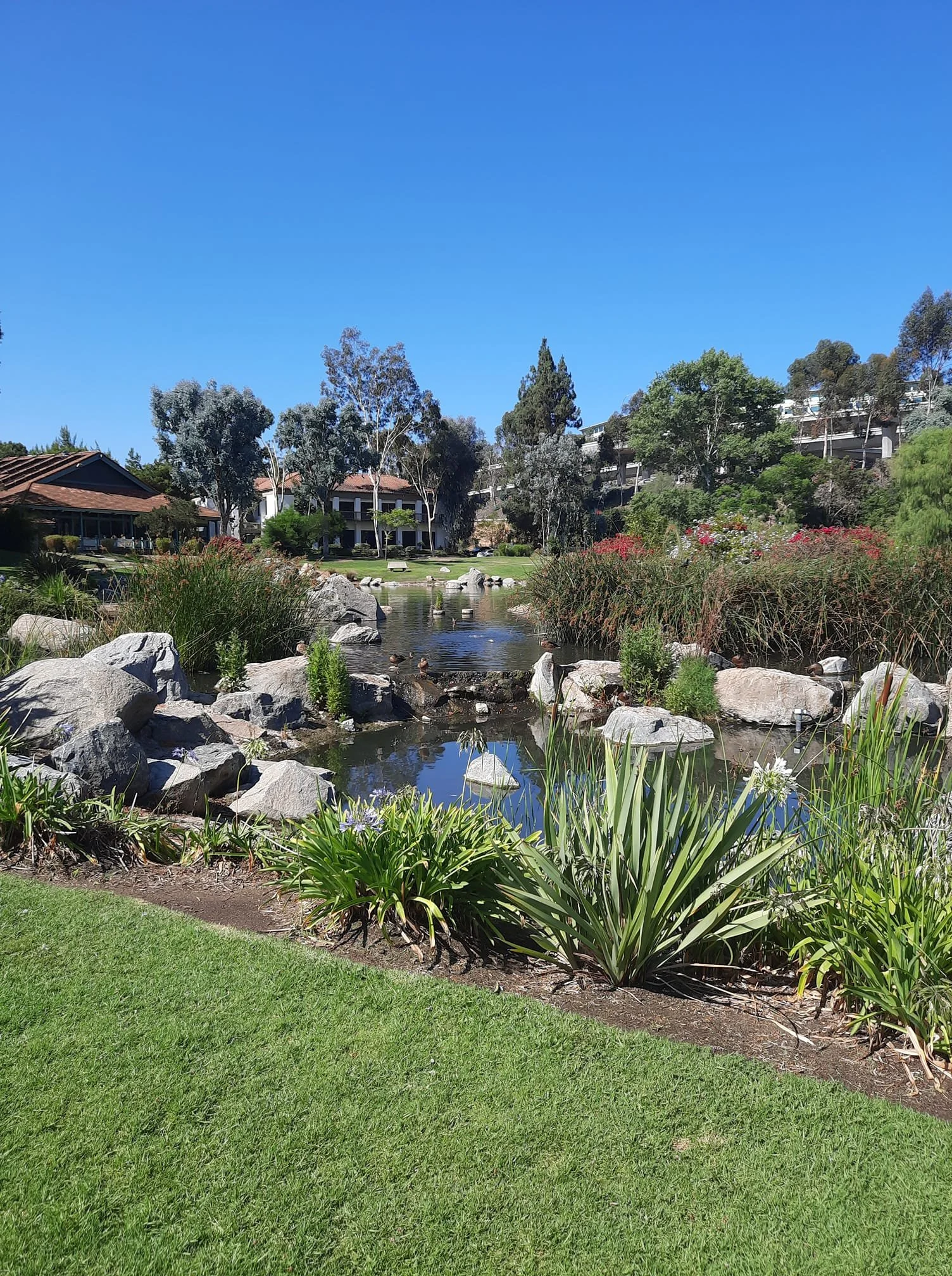 Affordable Funeral Solutions