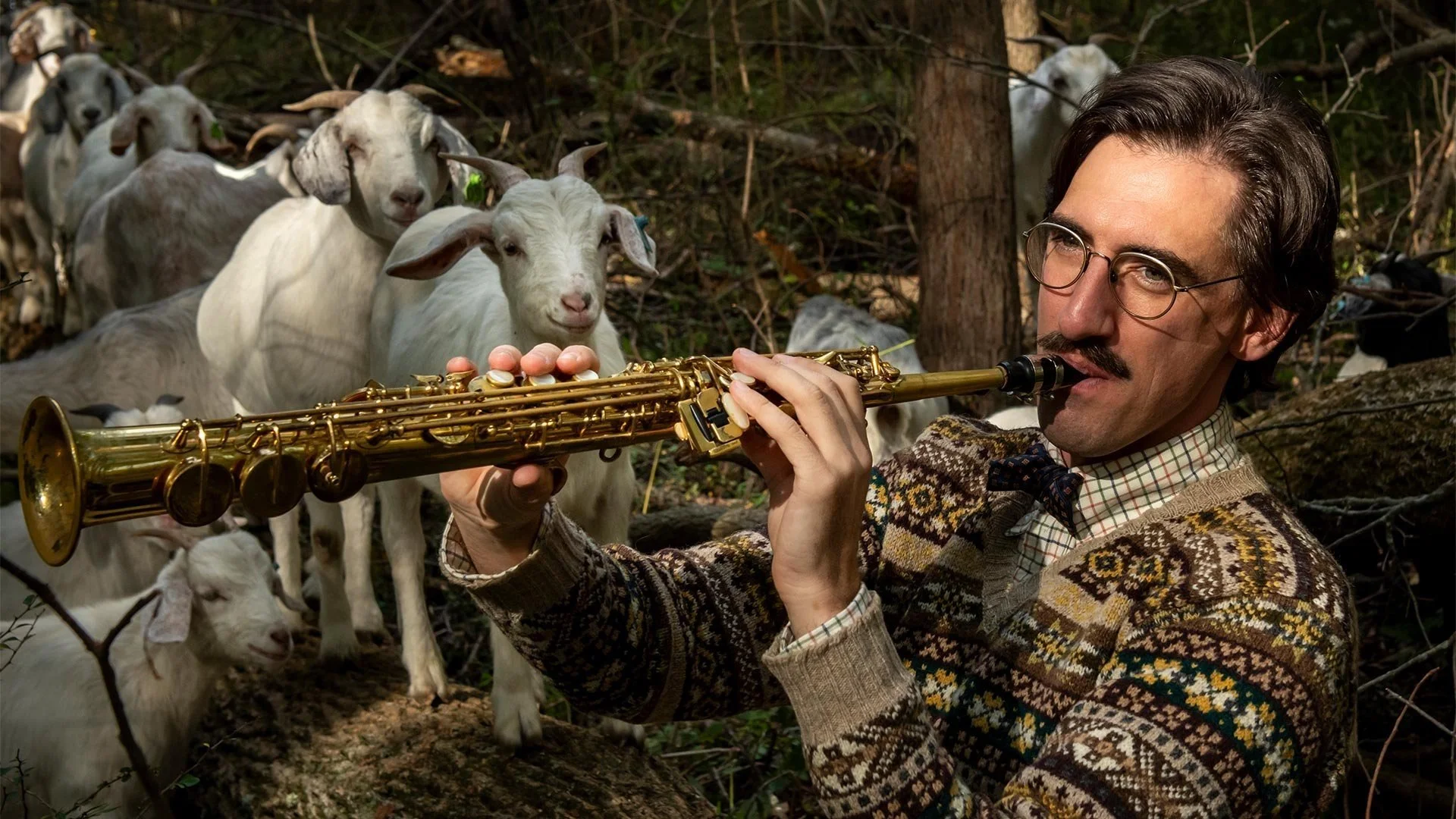 Ricky Alexander Index — Turtle Bay Records