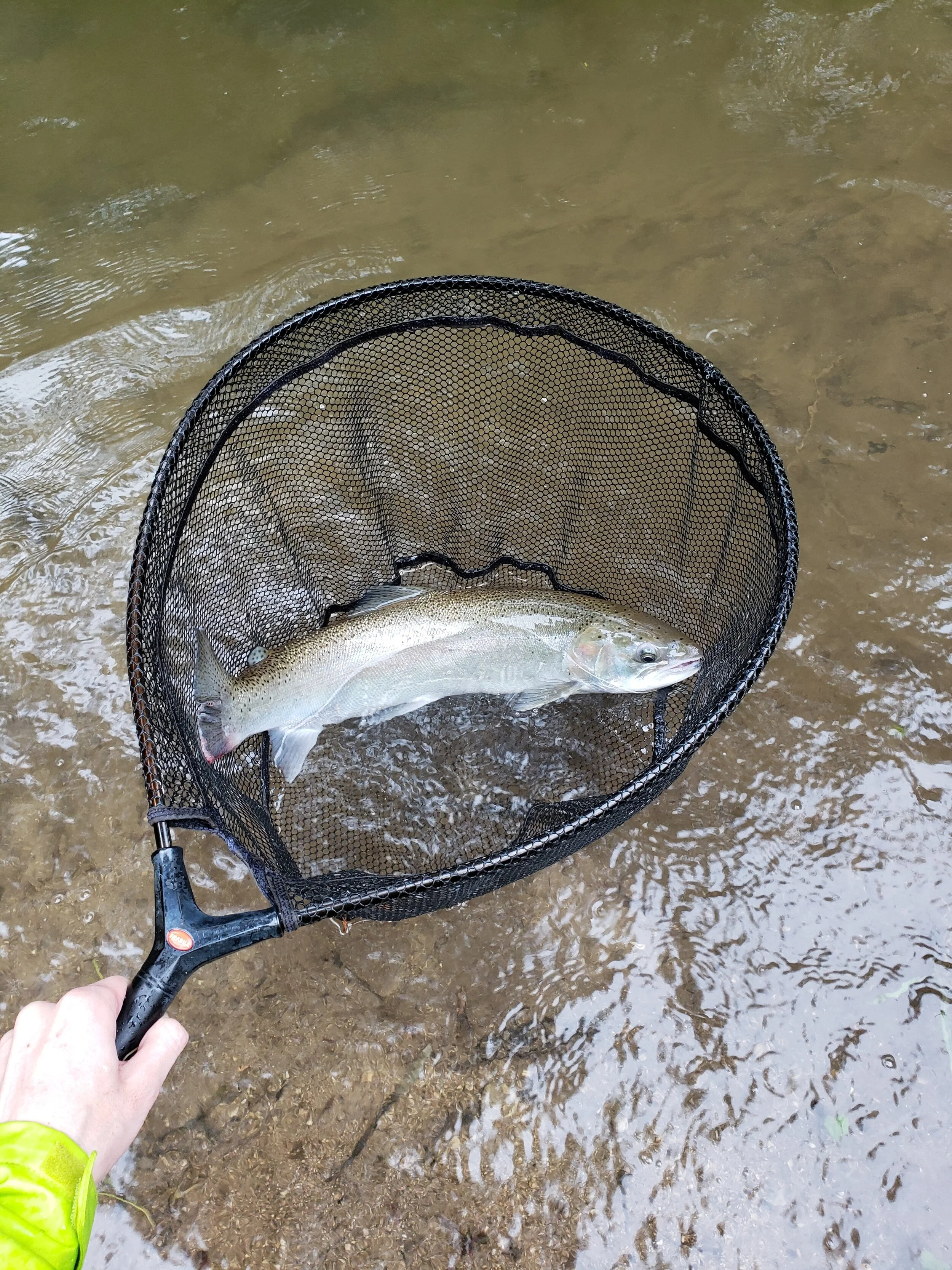 Lake Simcoe Fishing Guide | Wood Angling