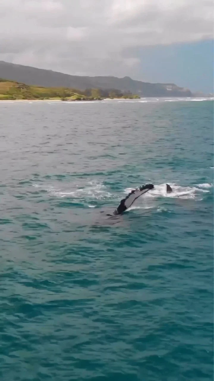 Hokuli‘a - Kona, Hawaii Island Luxury Community - Expansive Luxury ...