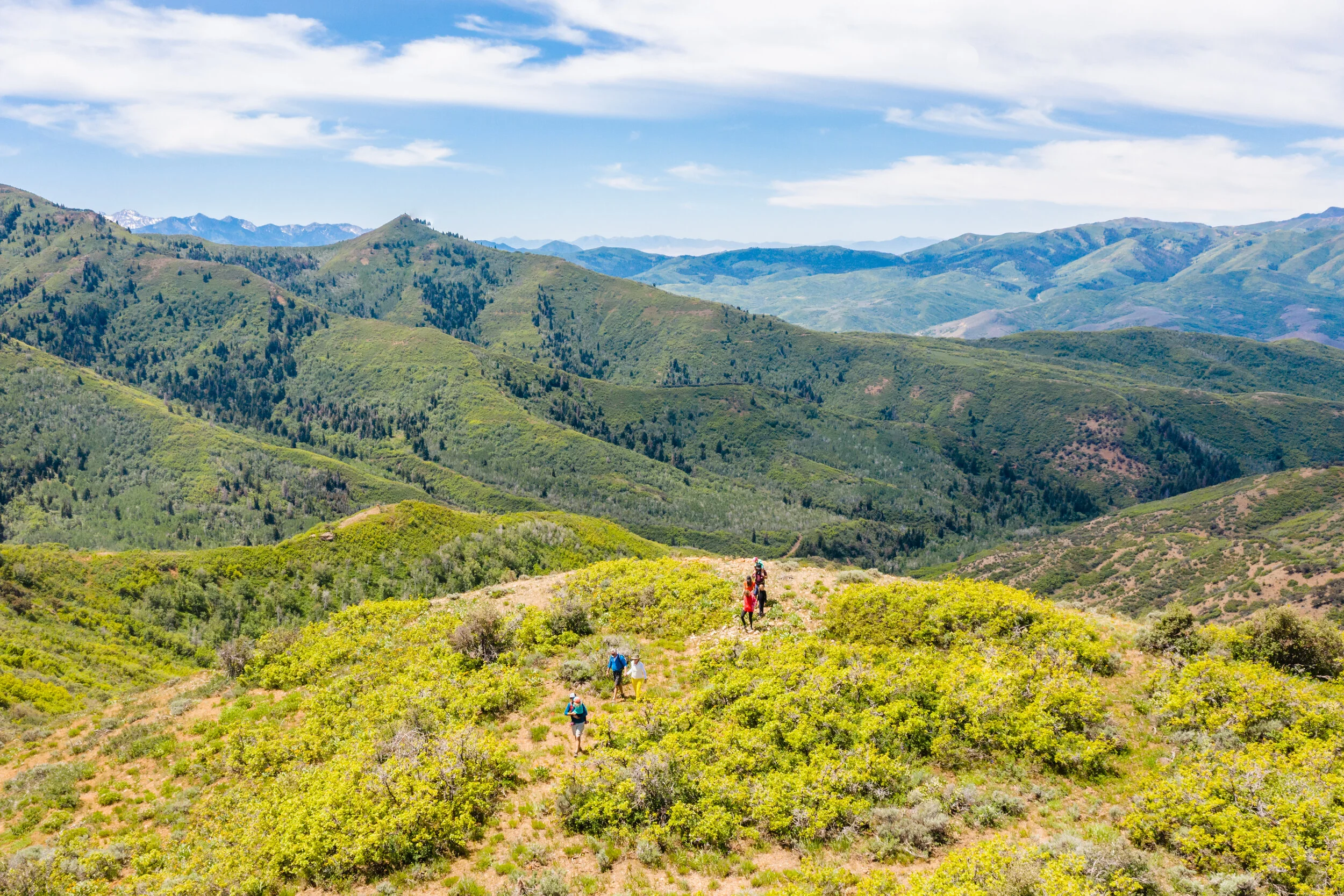 Our Story — Wohali Utah