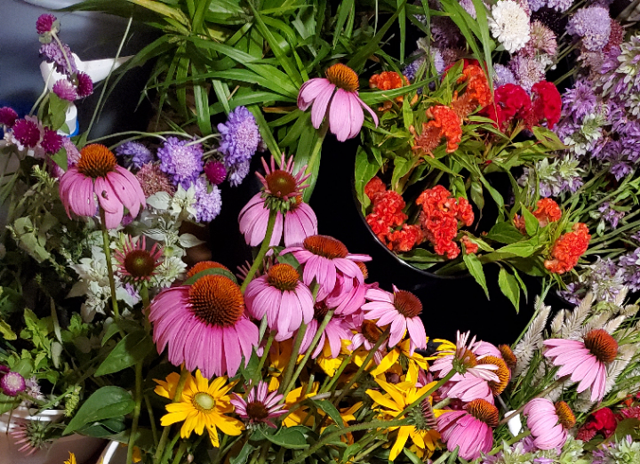 Shop for flowers — Blue Rooster Farms