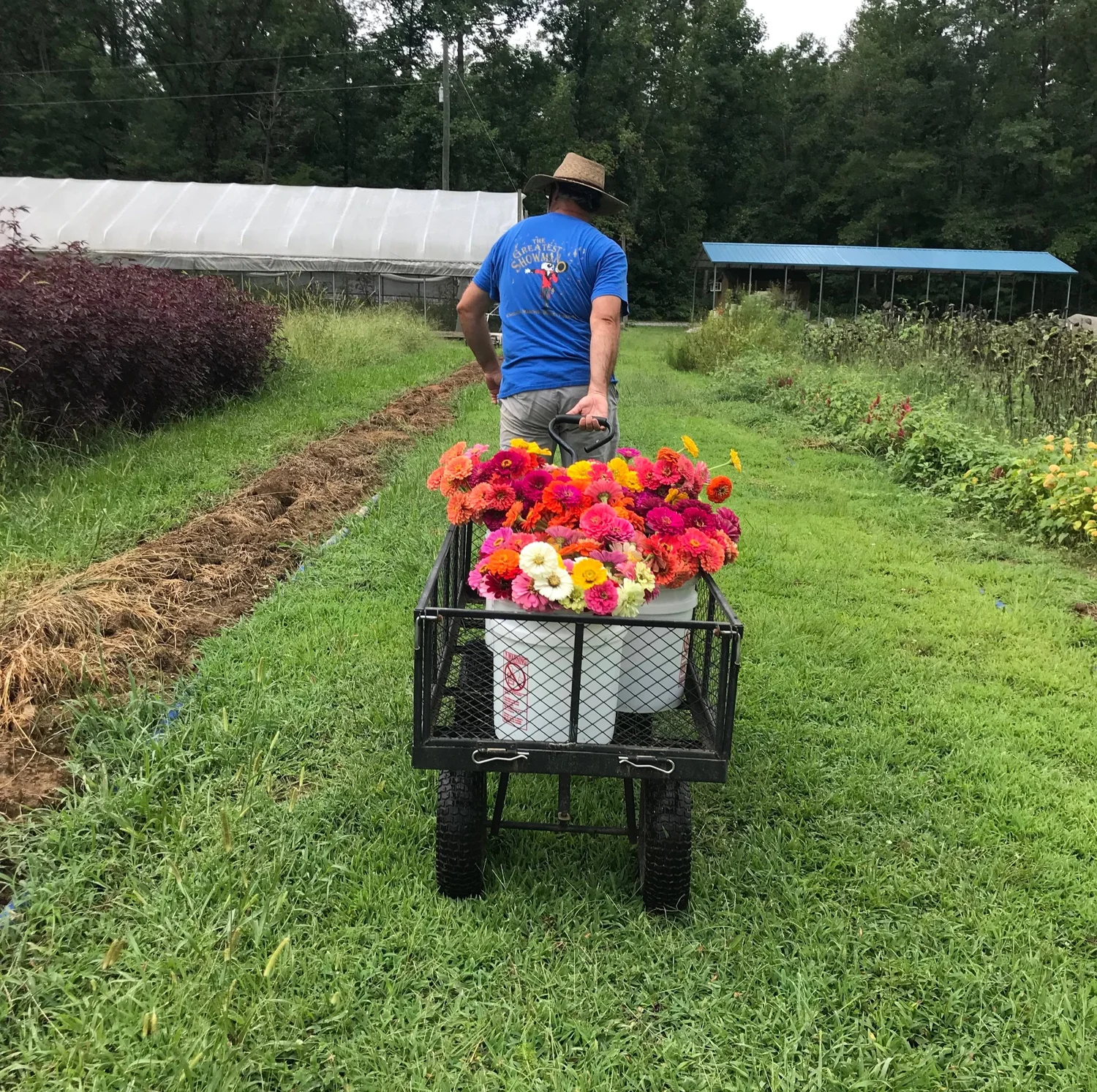Blue Rooster Farms
